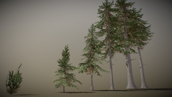 Branch 3D models - Sketchfab