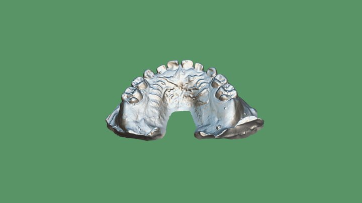 3shape 3D models - Sketchfab