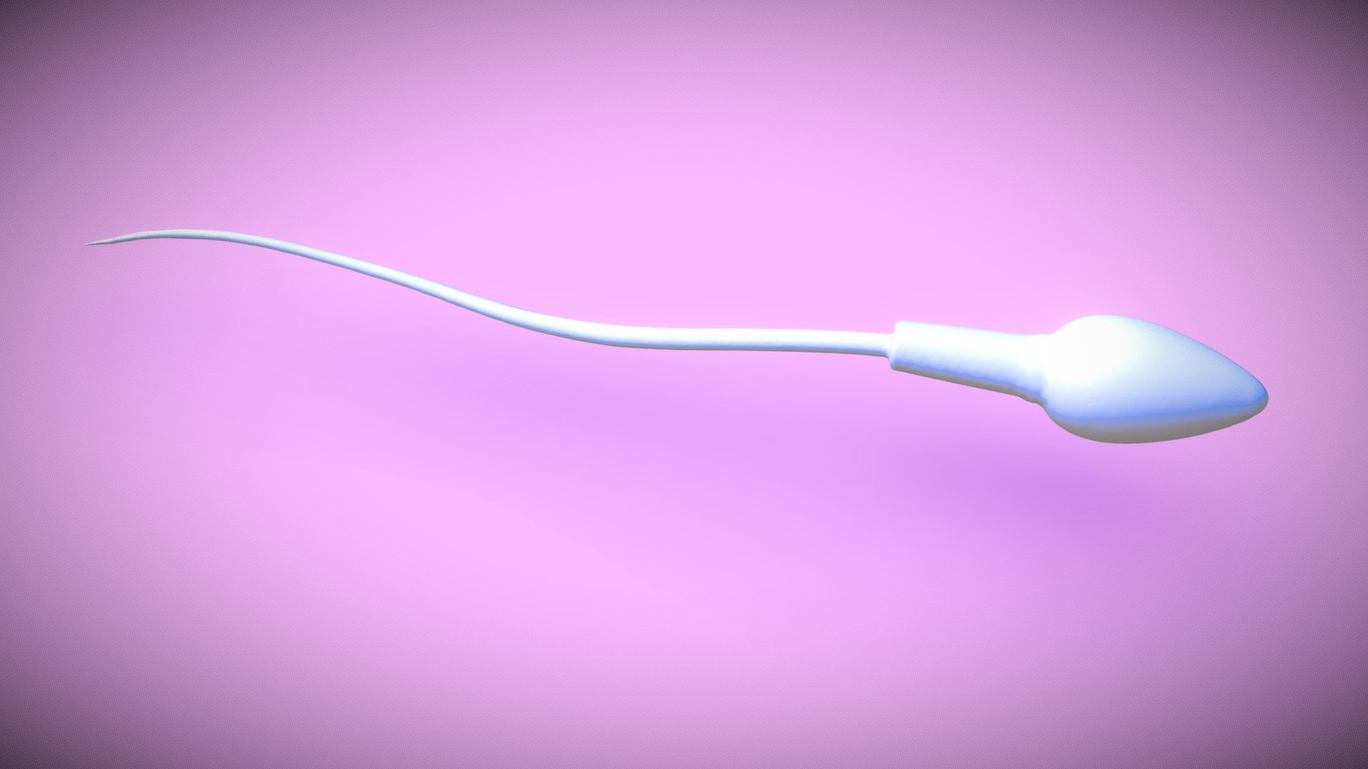 Human Sperm Cell - Buy Royalty Free 3D model by PARSONSARTS ...