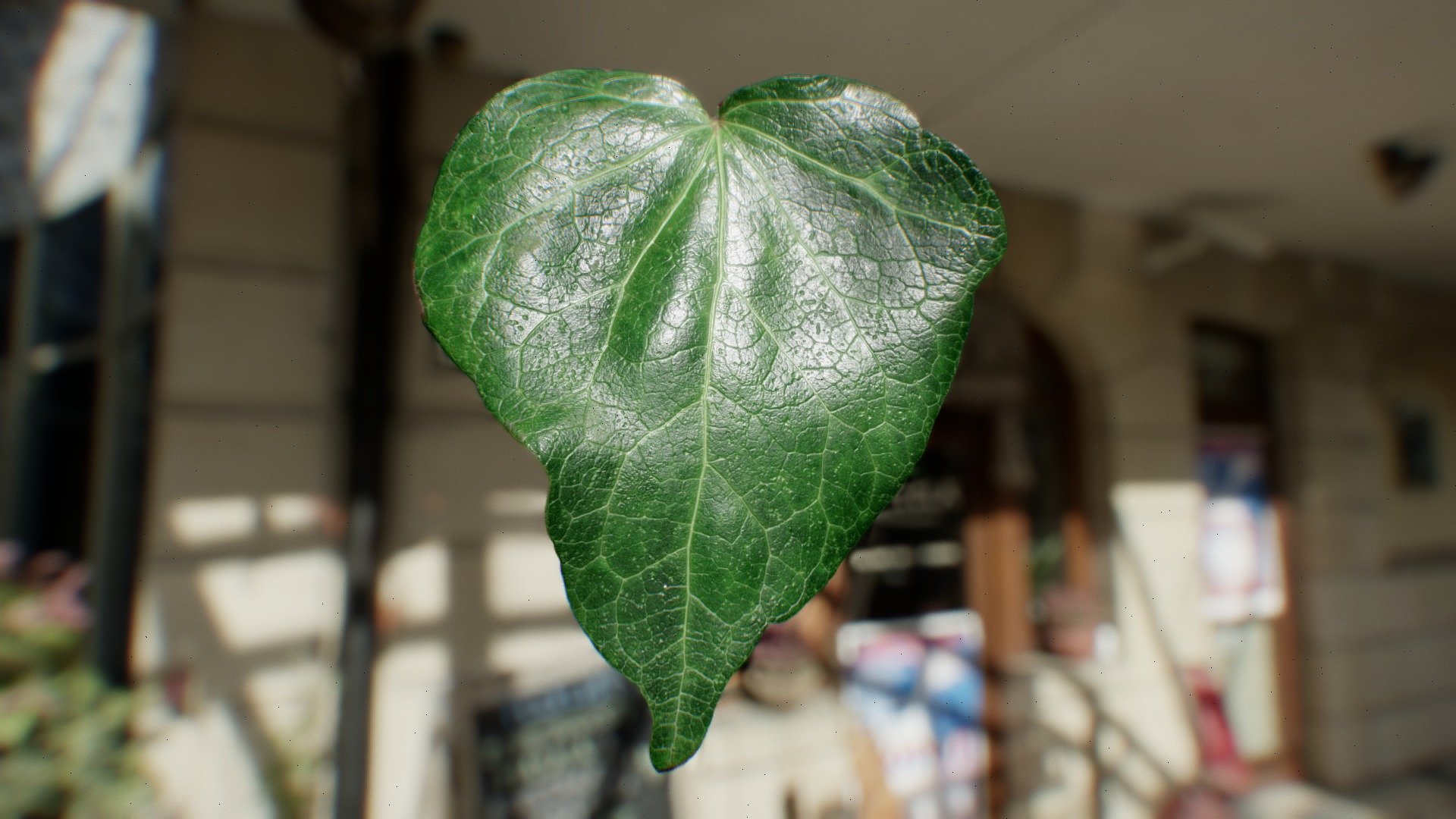 VFX Friendly Leaf 01 - Buy Royalty Free 3D model by inciprocal ...