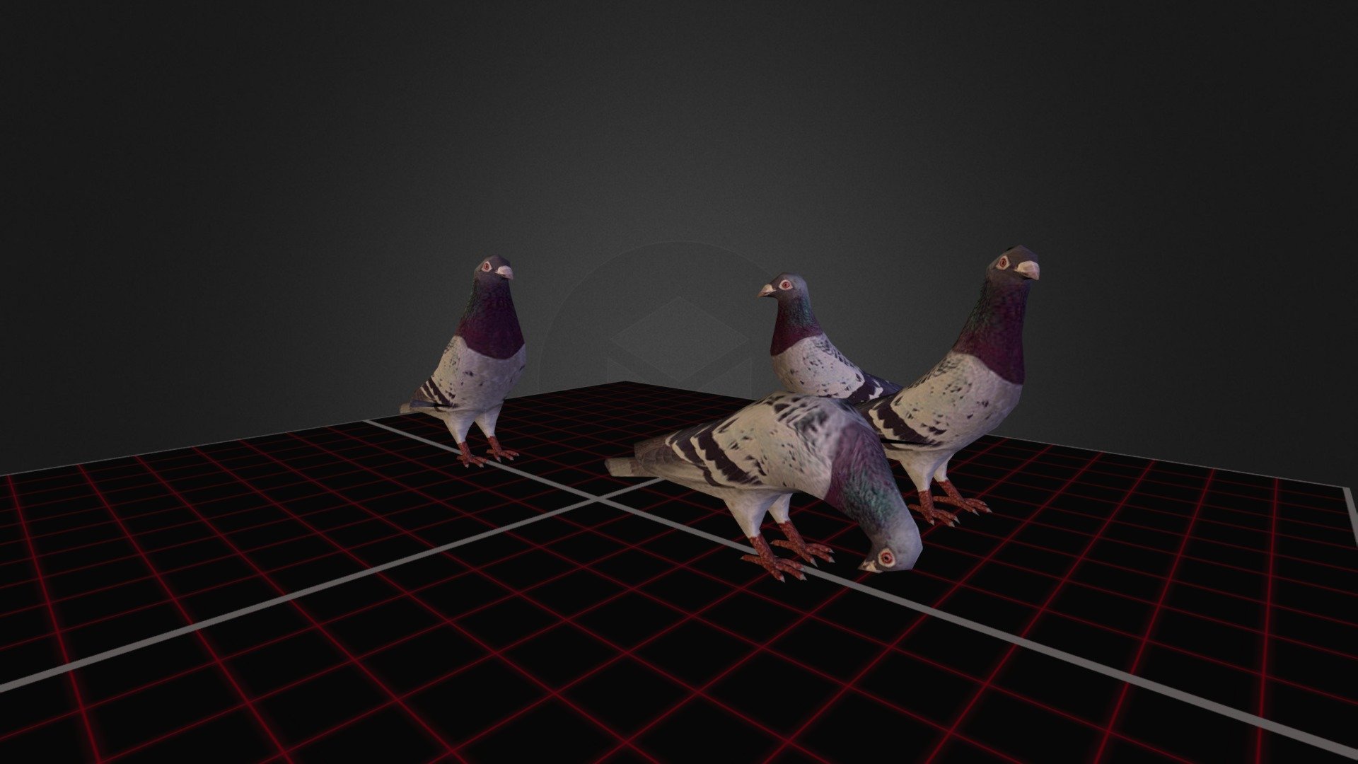 Prop_Pigeons - 3D model by DAE_howest (@daehowest) [f69cd0d] - Sketchfab
