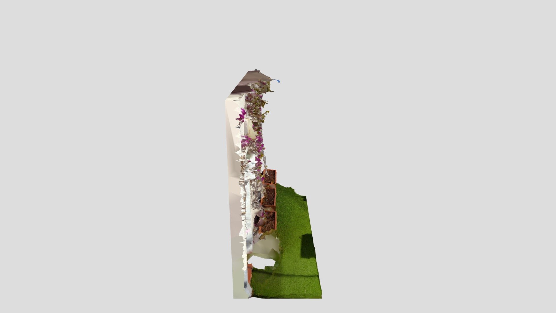 Flower Wall - Download Free 3D model by sam (@srs232) [f6a3ccb] - Sketchfab
