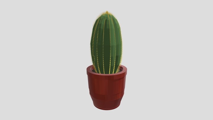 Cactus 3D models - Sketchfab