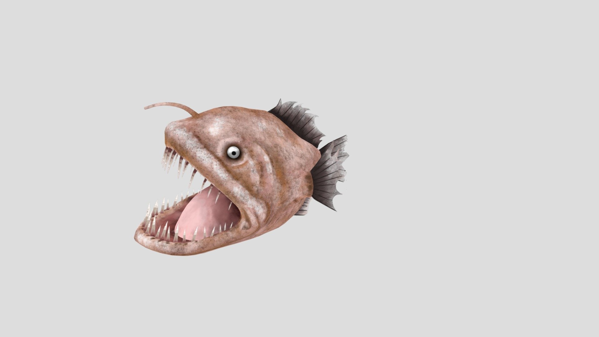Fish 10 16 Animation - 3D model by desanta [f6b08fb] - Sketchfab