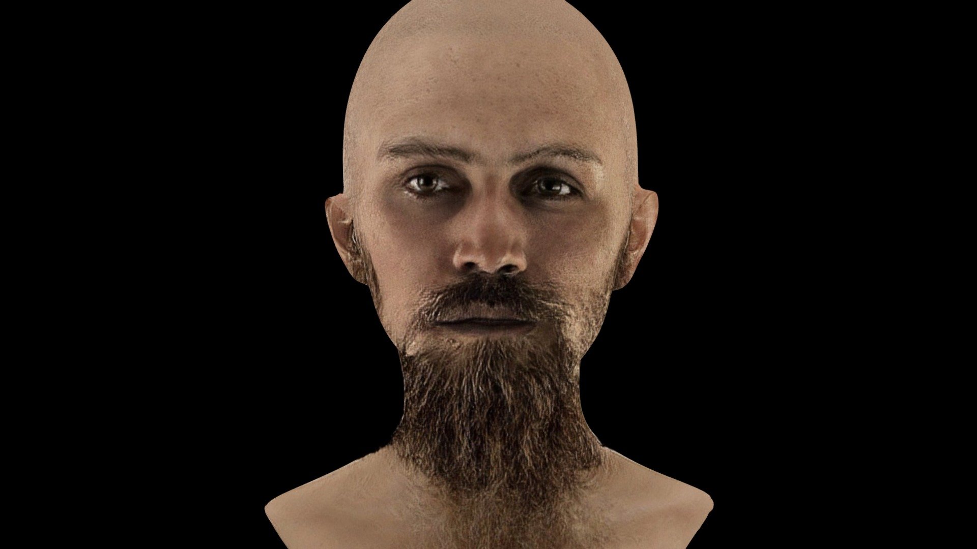 Human Dignity Collection | www.acuteline.com - Download Free 3D model ...