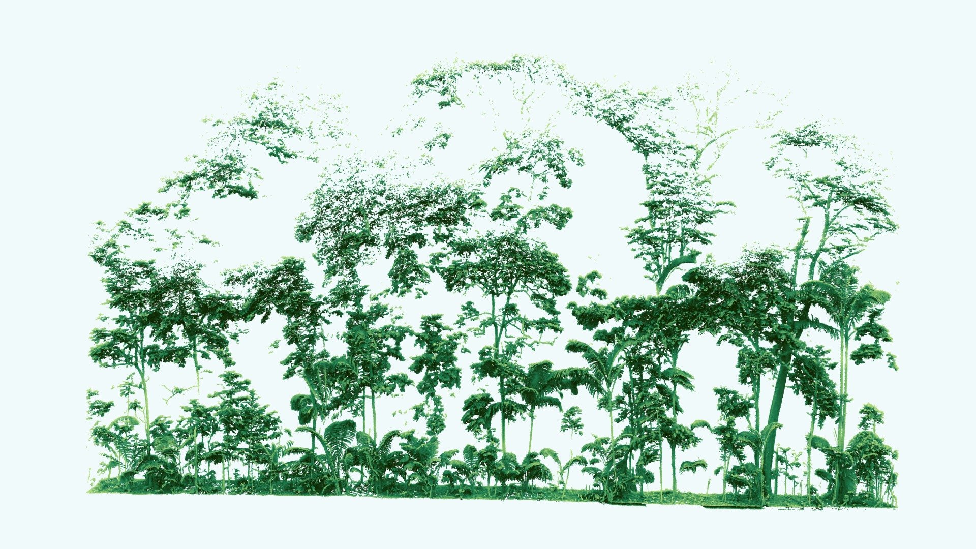 Tropics without lianas - at BCNM, Panama - 3D model by Q-ForestLab (Ghent University) (@CAVElab ...