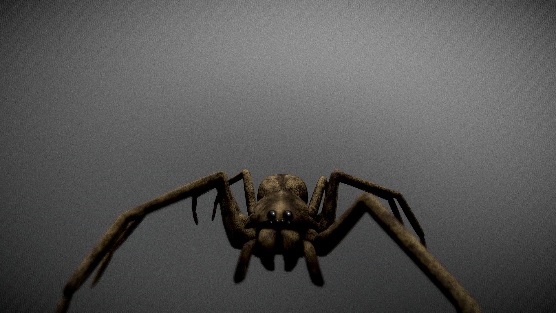 Spider Model - 3D model by donorclay [f6baebf] - Sketchfab
