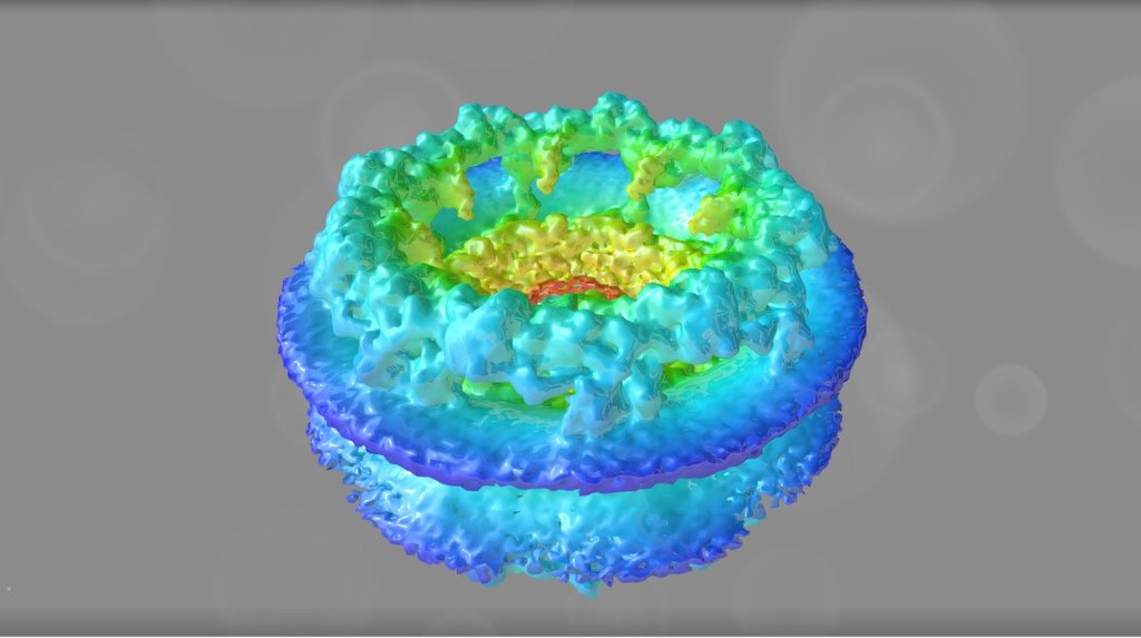 Entire human nuclear pore complex- NATURE (2015) - 3D model by ...