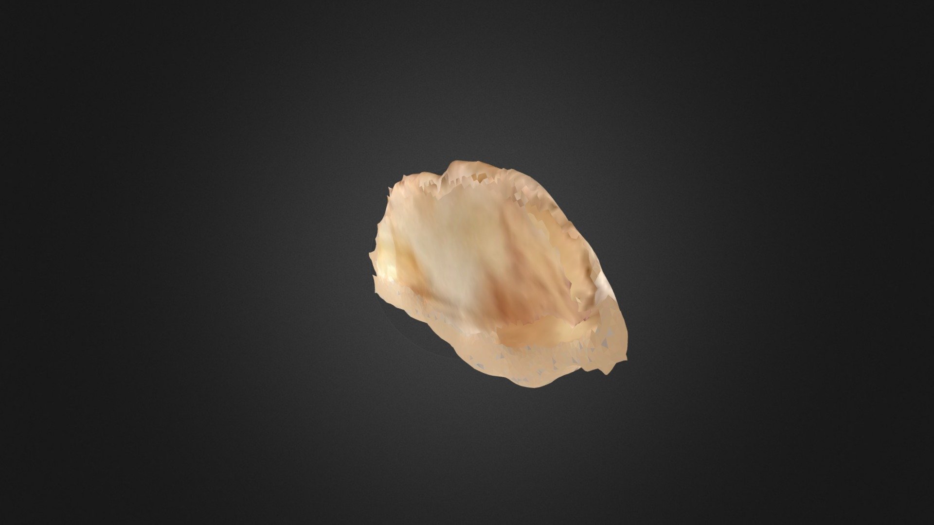 Arca navicularis Bruguiere, 1789 Sò hình thuyền - 3D model by 3D ...