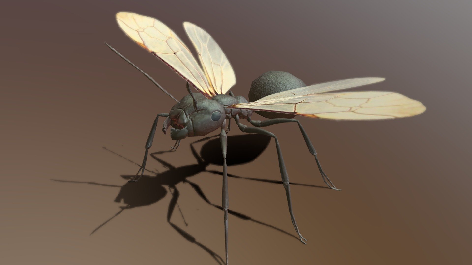 3DRT - Ant - 3D model by 3DRT.com [f6d7b43] - Sketchfab