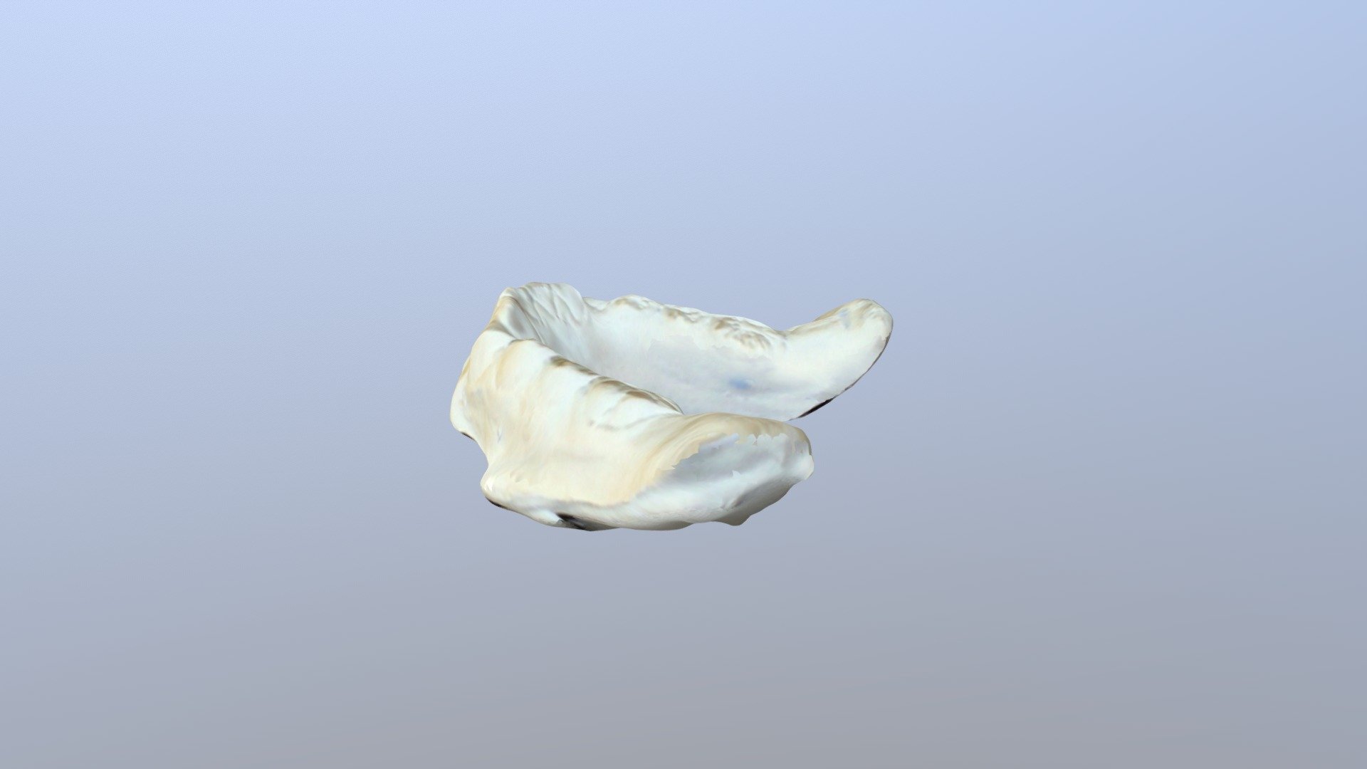 New Qlone - 3D model by Yaneli.Medina [f6d8100] - Sketchfab