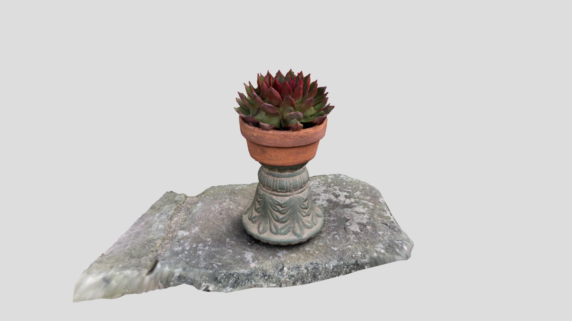 Succulent in Pot 001 Lipstick Echeveria - Download Free 3D model by ...