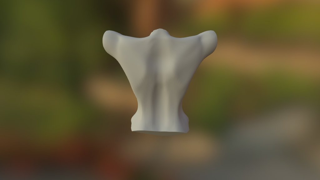 Study - 3D model by Ezidras [f6e2edf] - Sketchfab
