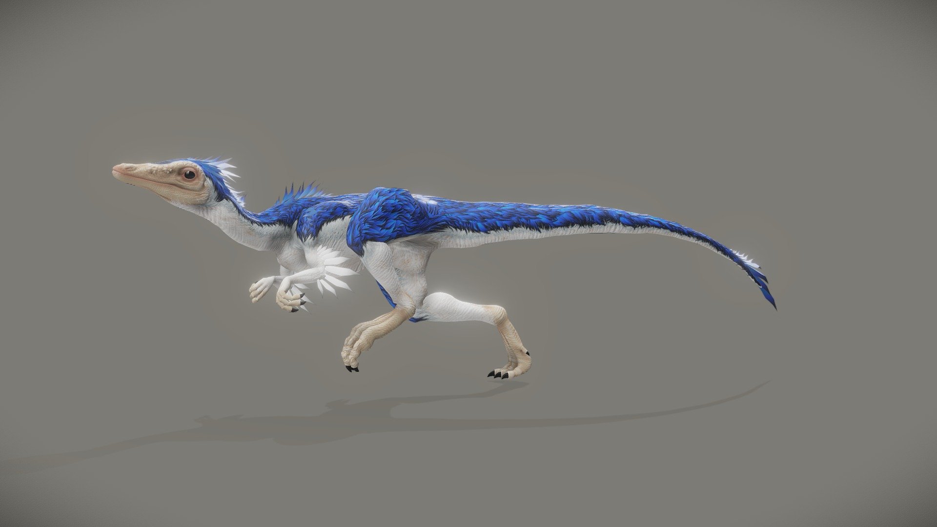 Compsognathus Longipes - Buy Royalty Free 3D model by Kyan0s [f6e2f39 ...