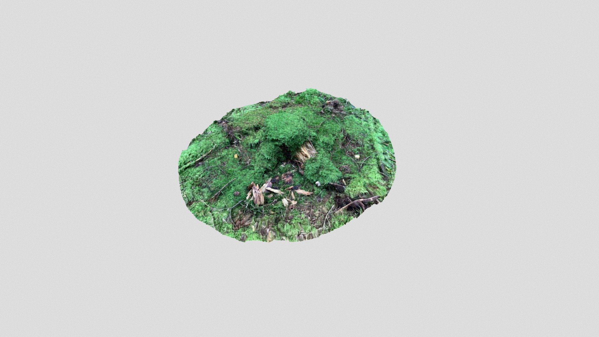 Mossy trunk scan var. 2 - Download Free 3D model by dahlberg150 ...
