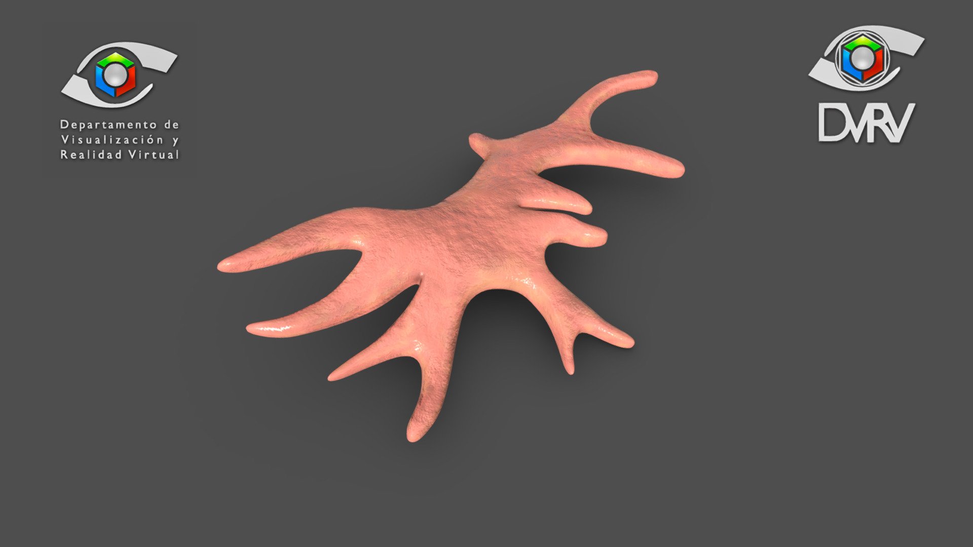 Balamuthia - 3D model by UNAM | DGTIC | DITE | DRDE (@DRDE_UNAM ...