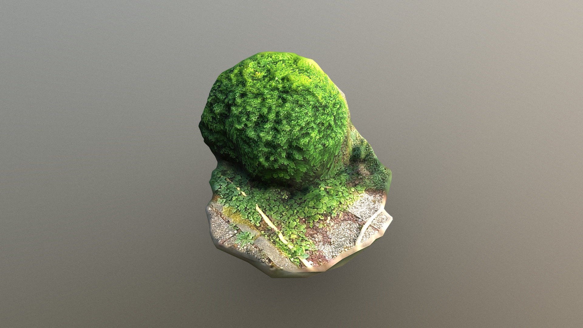 Bush - Download Free 3D model by mrfunnysheep [f6f3665] - Sketchfab
