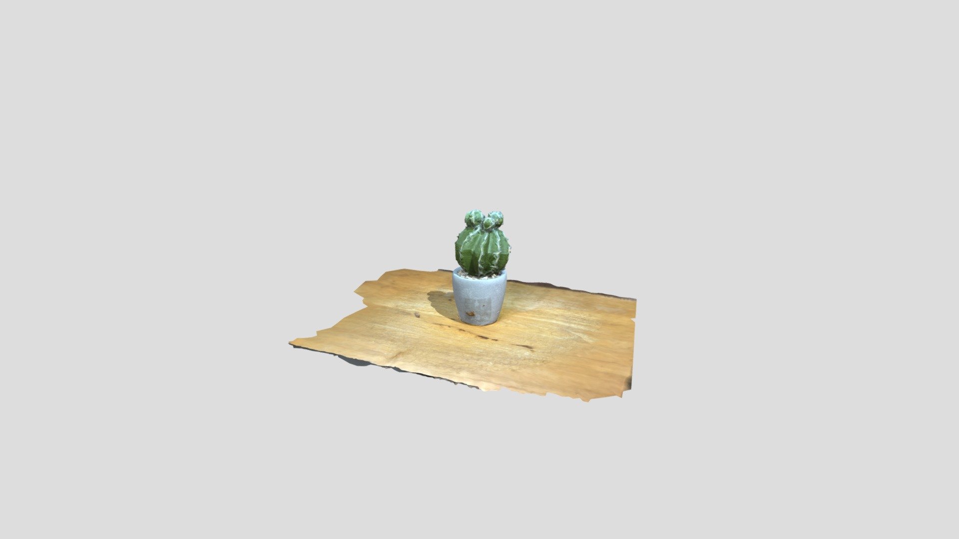 Cactus - 3D model by Axyrine [f701fc0] - Sketchfab