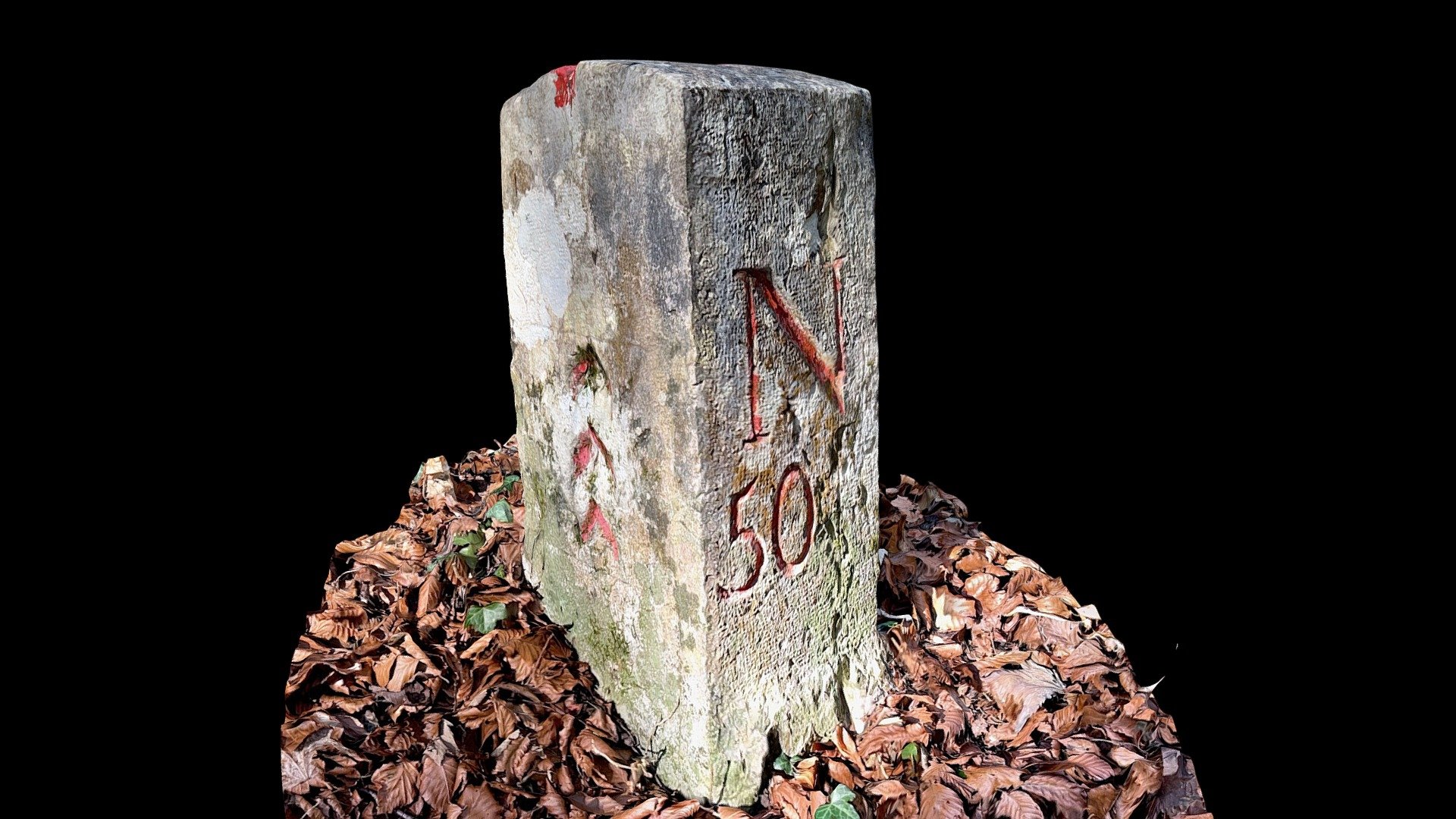 borNE.NEUC-PESE.ab - Download Free 3D model by clwacker [f704039 ...