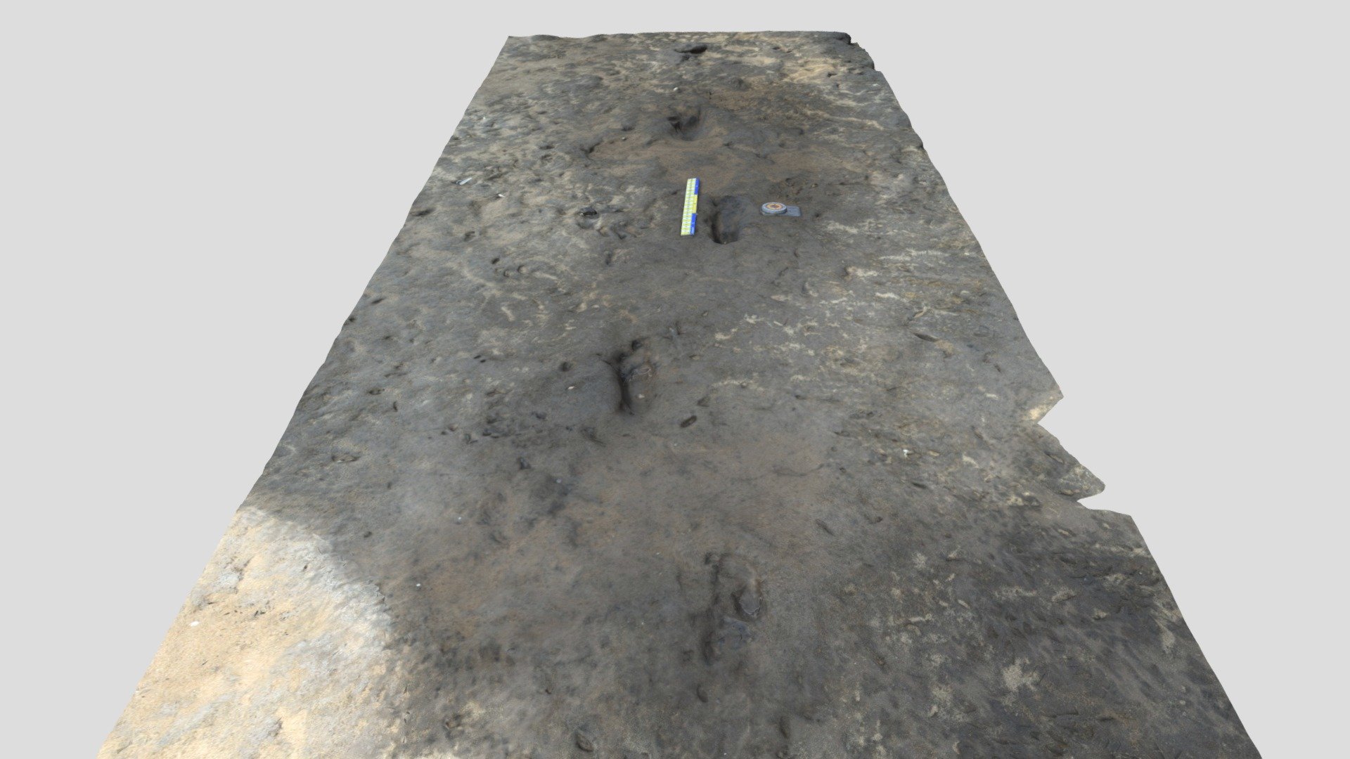 Formby Footprints — Child - 3D model by Archaeology, Classics and ...