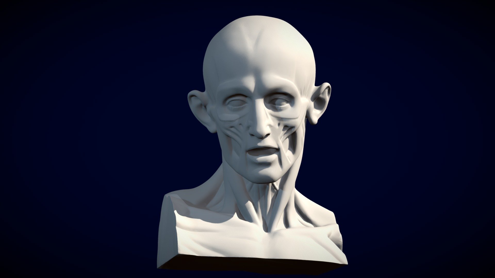 Écorché Cabeza Houdon - Buy Royalty Free 3D model by David.A (@David.AV ...