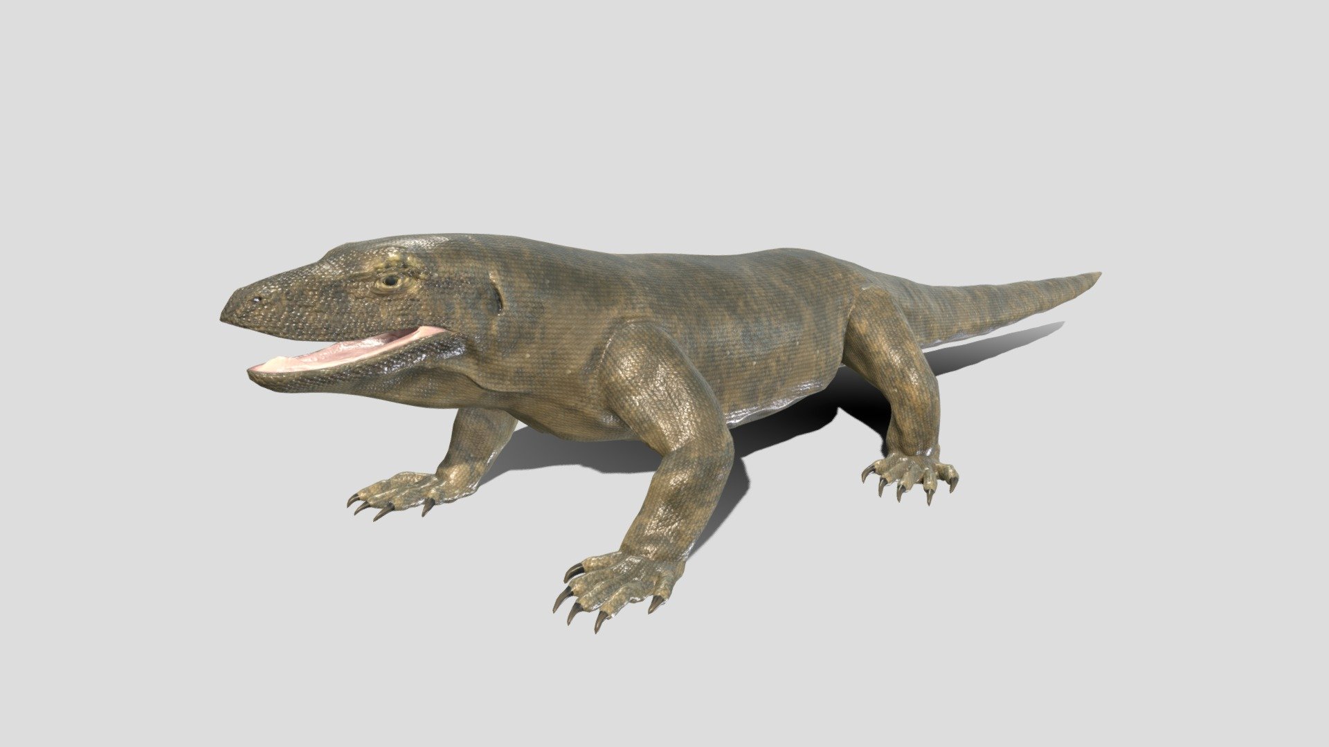 Monitor Lizard - Buy Royalty Free 3D model by Mixall (@Mixaills ...