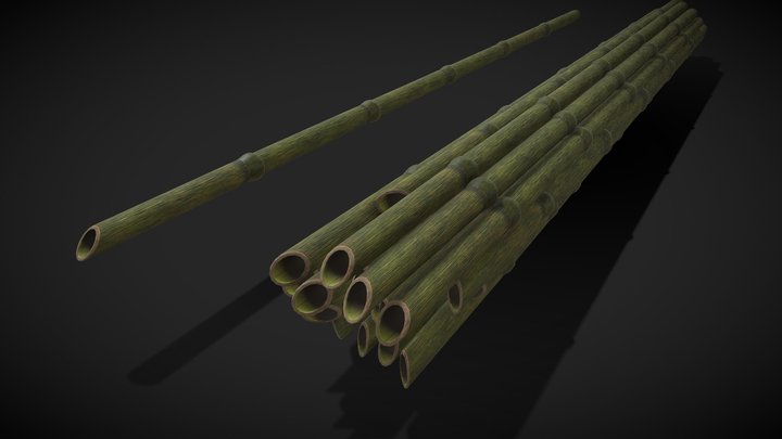 Bamboo 3D models - Sketchfab