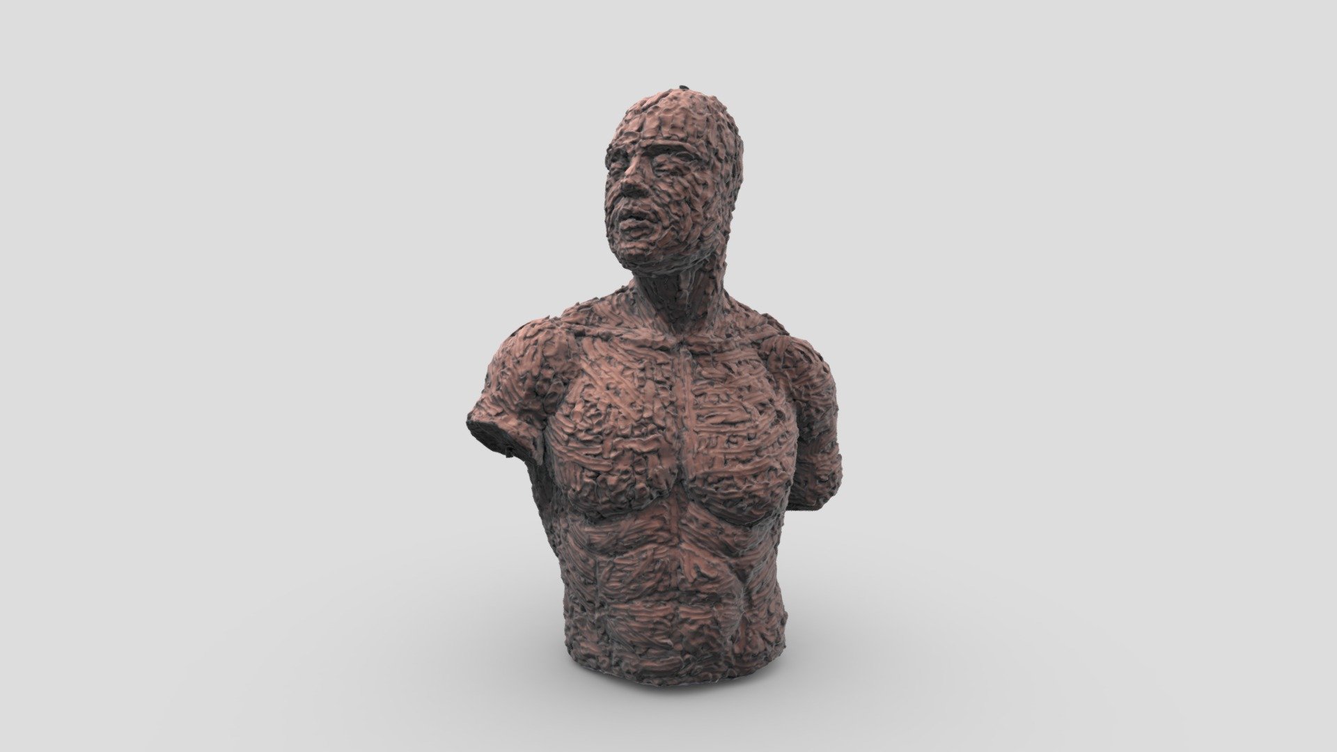 torso_layer1-250Kblender - 3D model by Gallery of Reality ...
