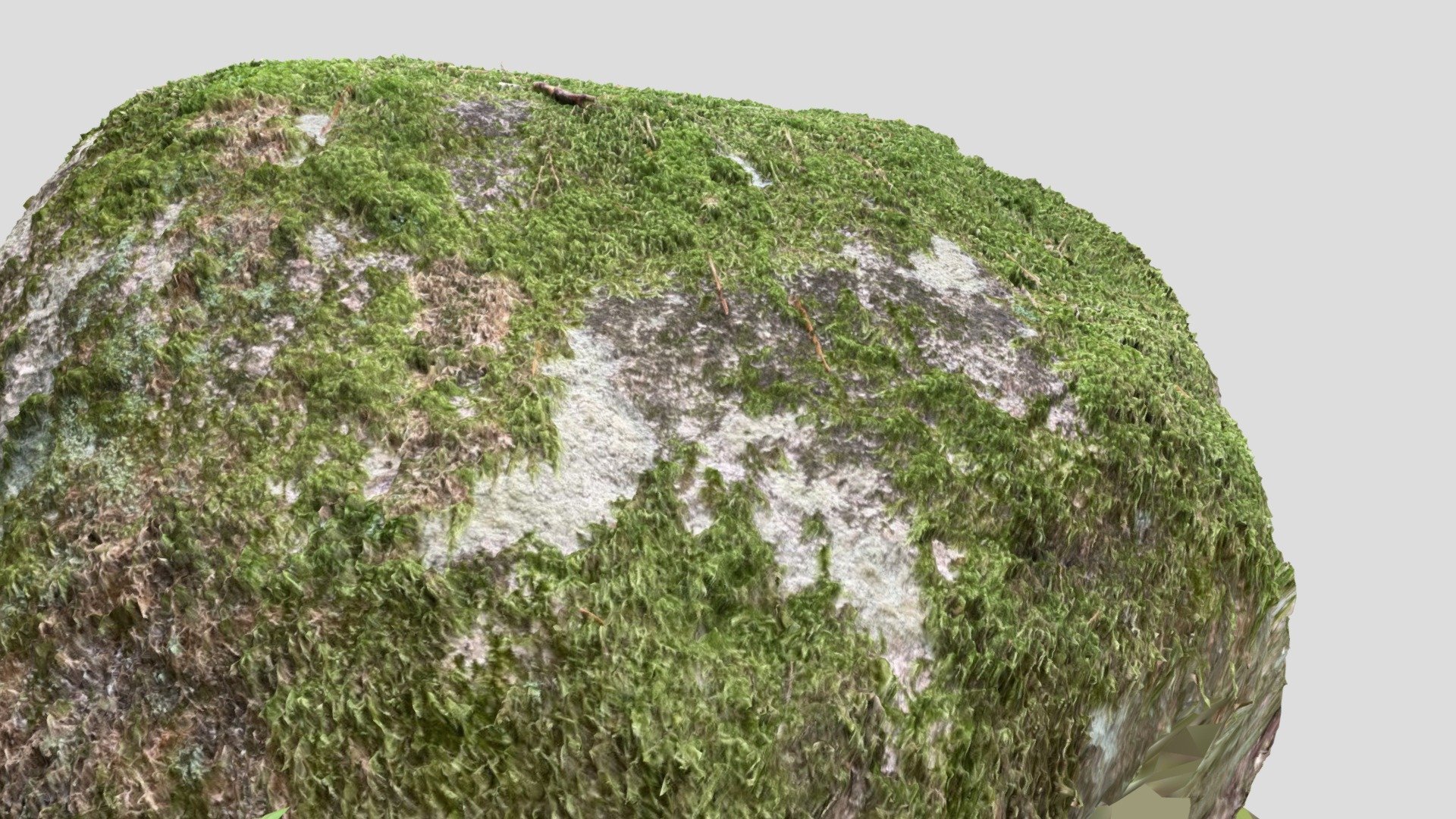 Mossy Rock - Forest - 3D model by Majzim [f723616] - Sketchfab