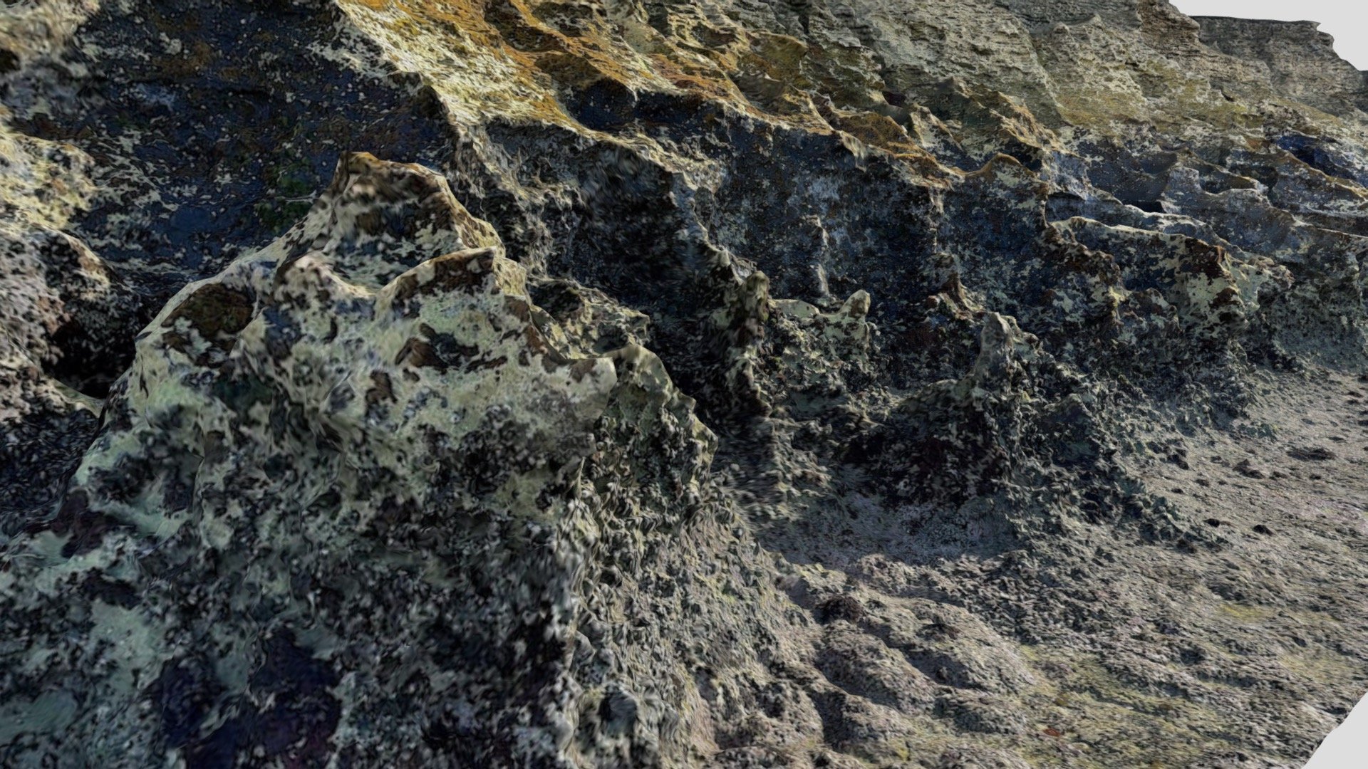 Coral_Reef_1 [MR, Photo Scan] - Buy Royalty Free 3D model by ...