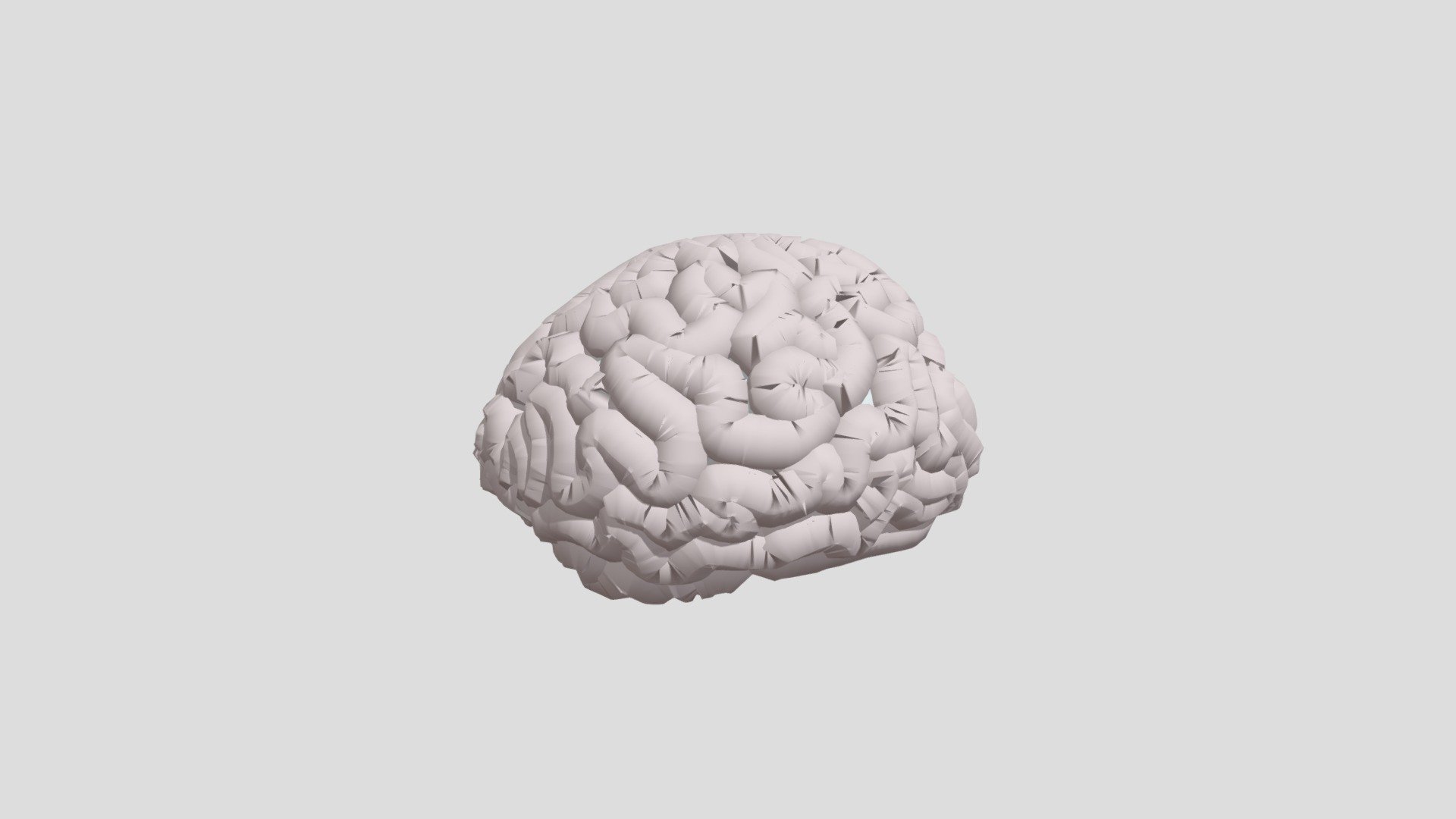 brain - Download Free 3D model by zoeypotato [f72c03e] - Sketchfab