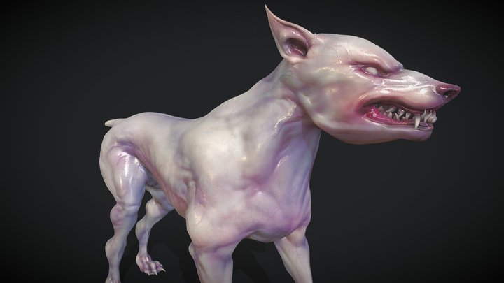 Mutant Dog Animations - 3D model by GAME-READY STUDIOS [f72cf23 ...