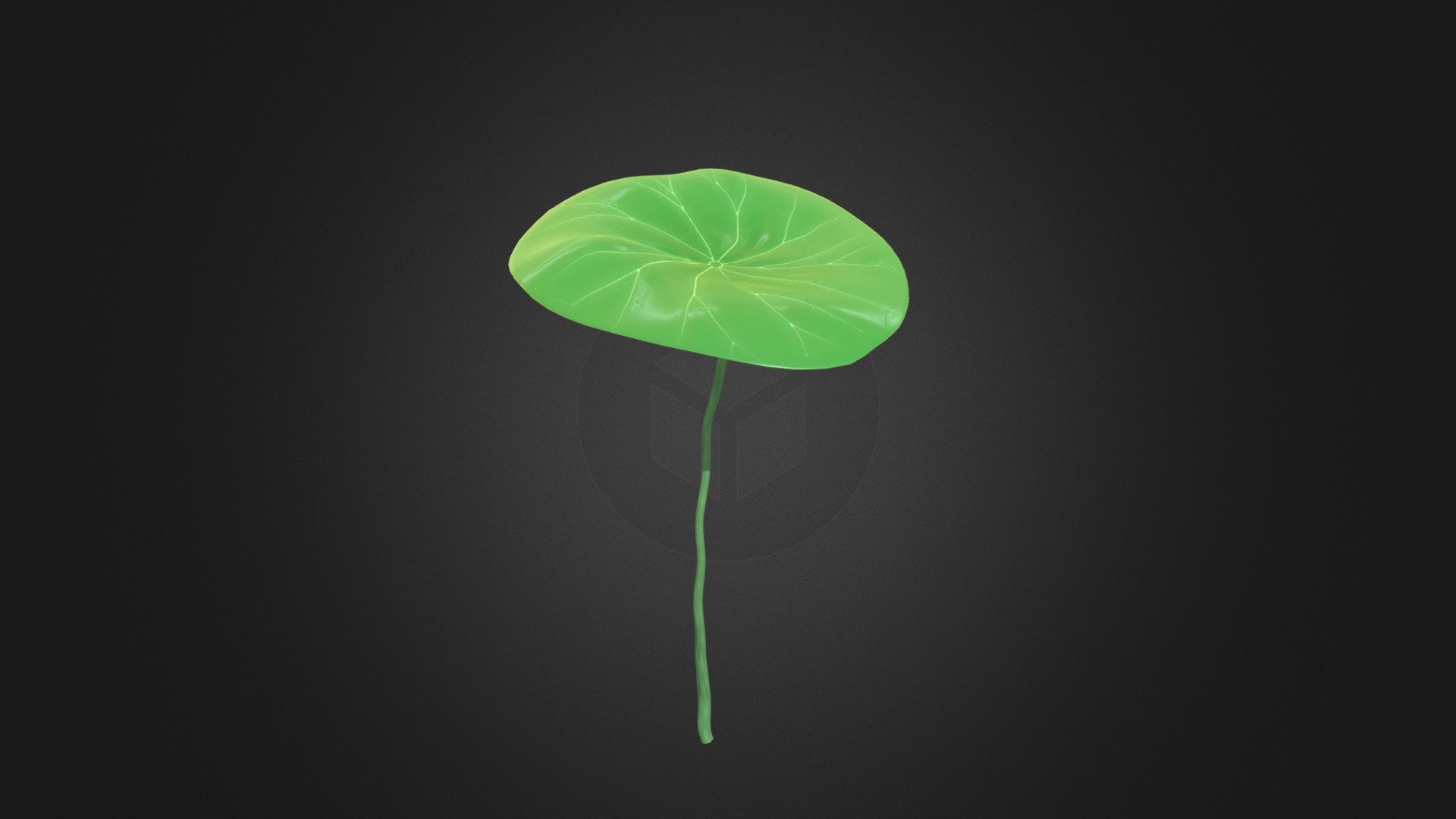 lotus leaf - 3D model by lion3537 [f7358e6] - Sketchfab