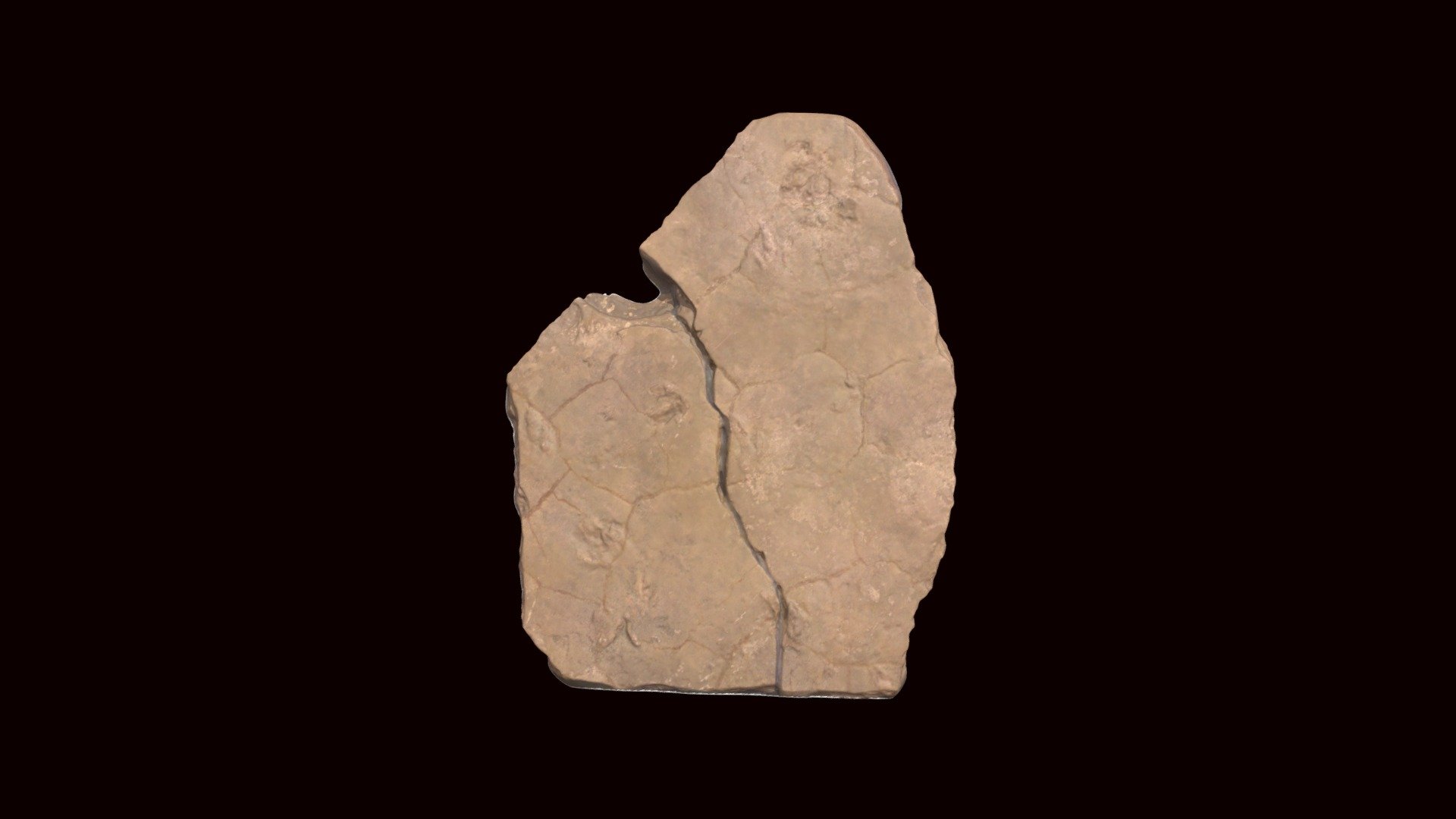 Dinosaur tracks (VCU_3D_8317) - 3D model by Virtual Curation Lab ...