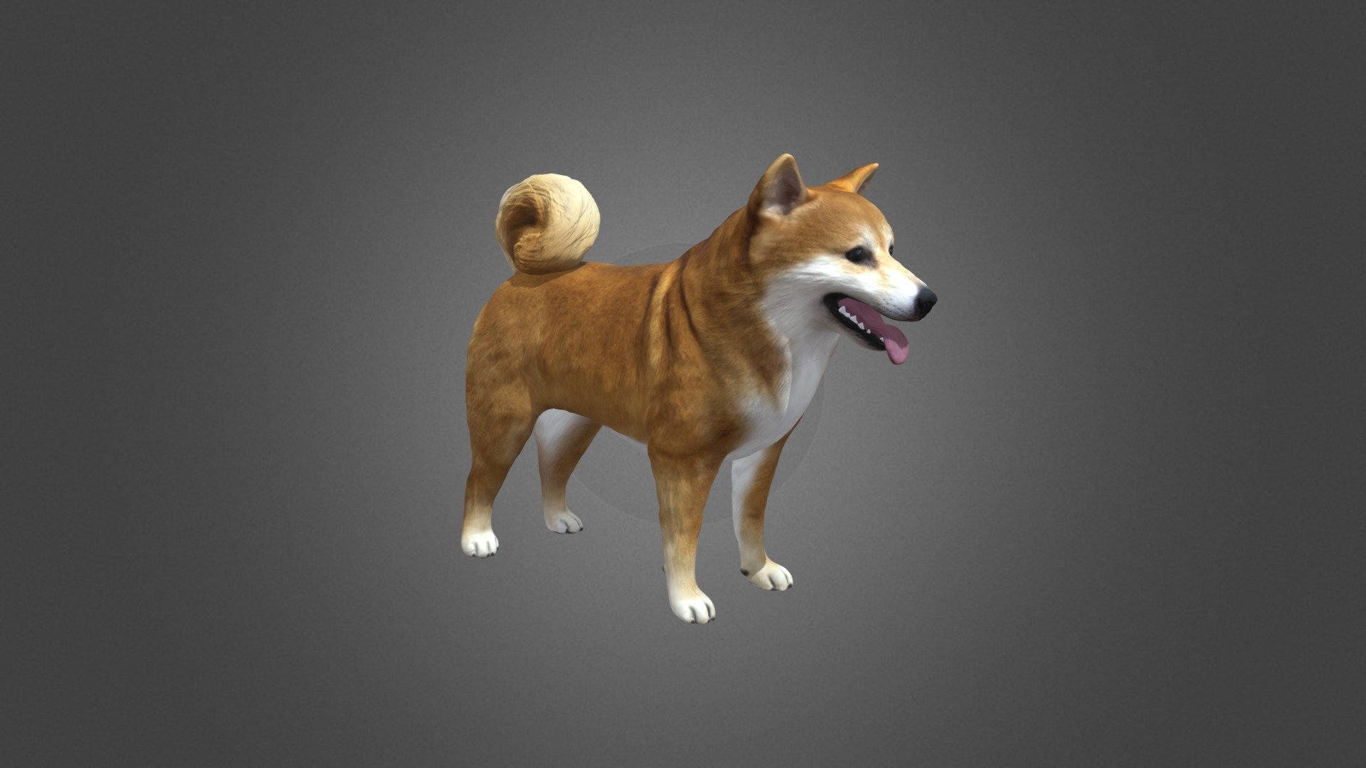Shiba inu - 3D model by monostudio [f741a2b] - Sketchfab