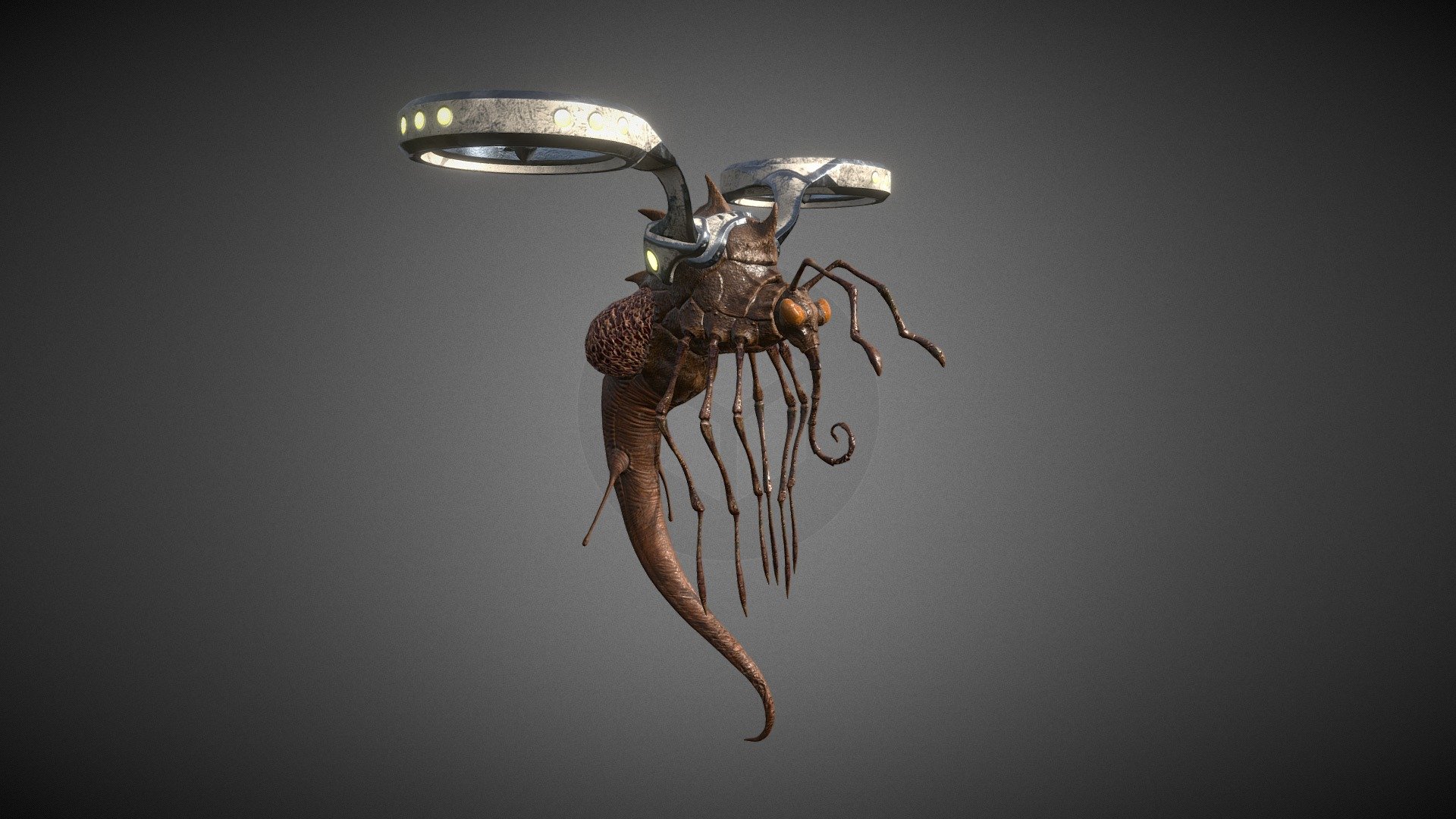 Insect Texturing - 3D model by MrNeev [f743e8e] - Sketchfab