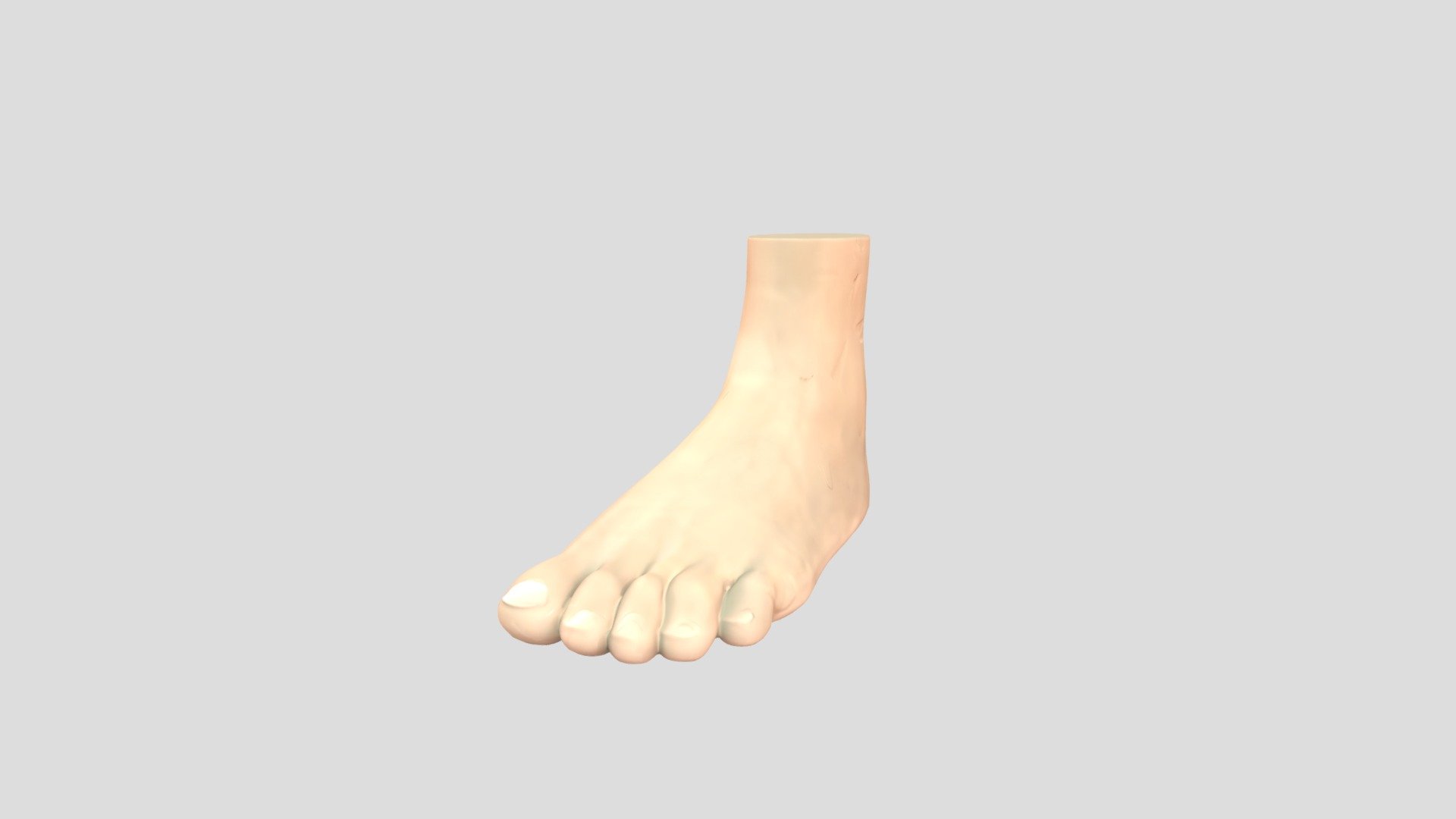 Feet model 1 - 3D model by DevCentral [f74634c] - Sketchfab