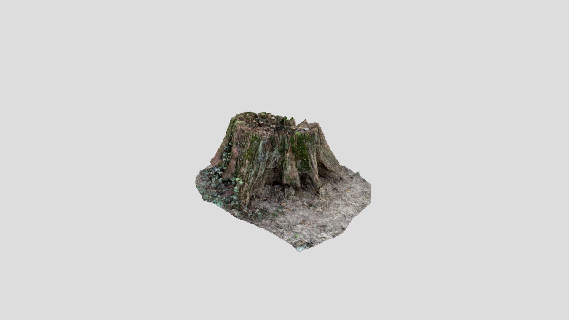 Souche - Download Free 3D model by theothomas [f748b14] - Sketchfab