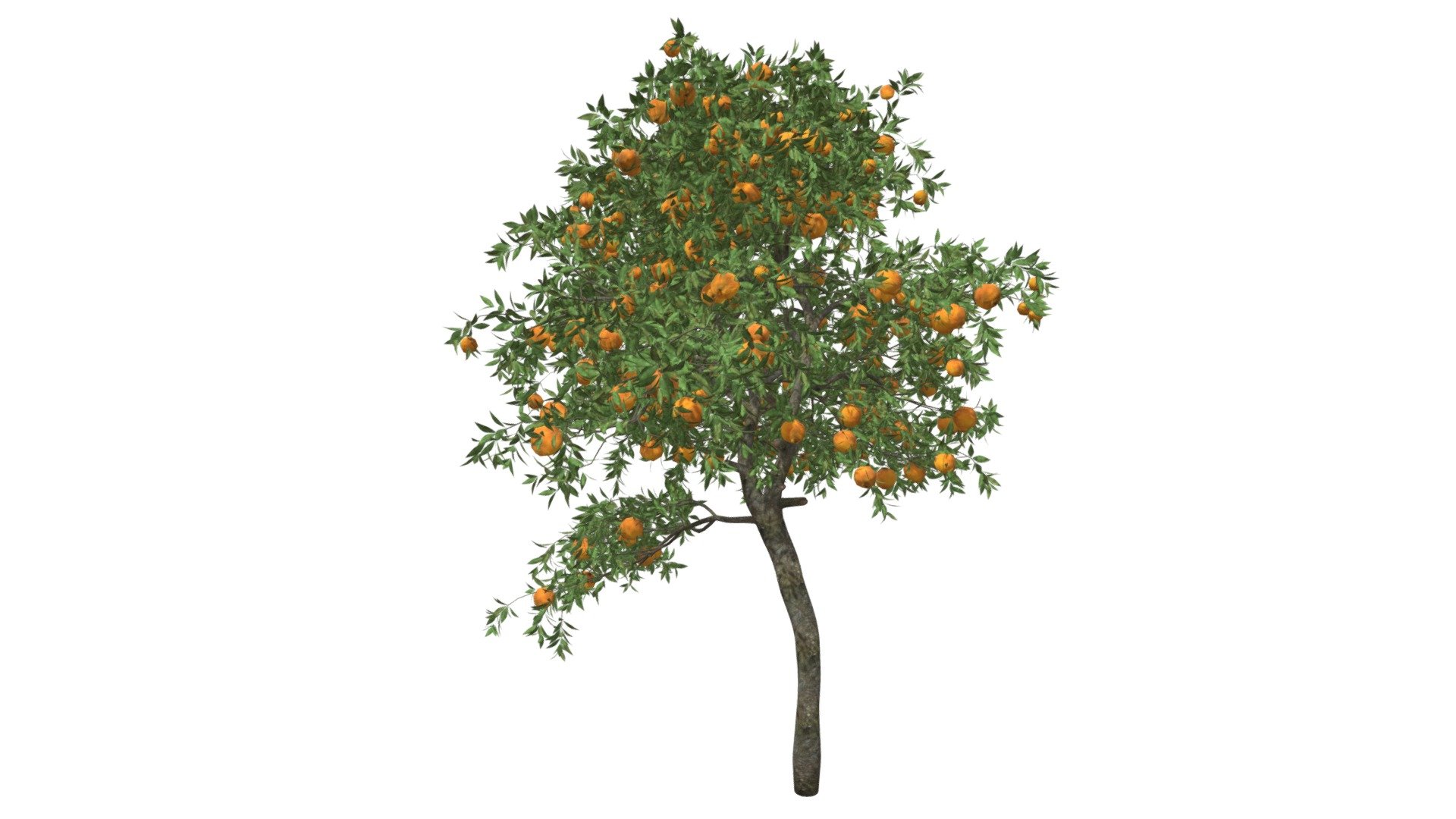 Orange Tree #06 - Buy Royalty Free 3D model by meshshape [f753e60 ...