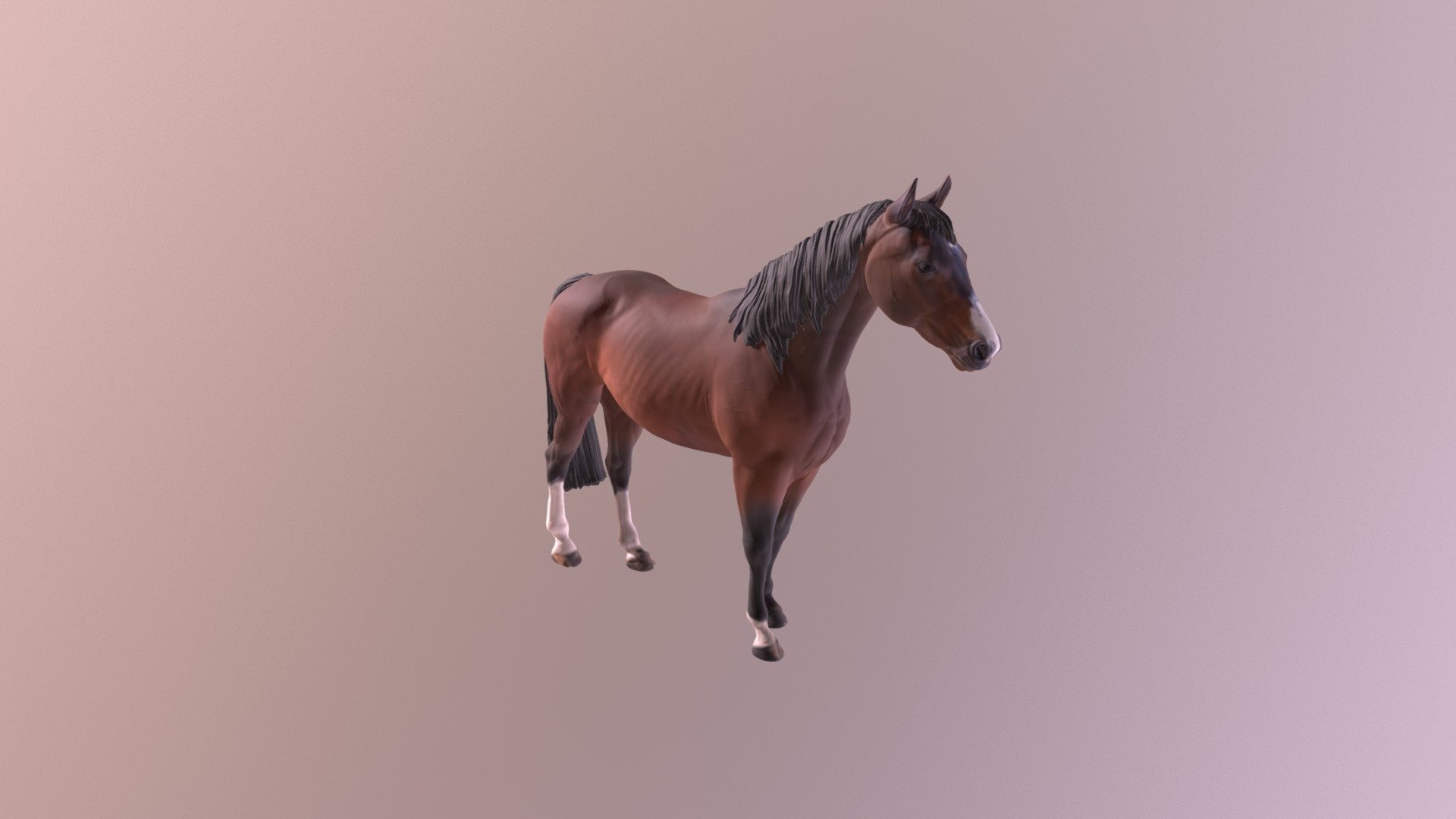 1801005 - Ping Pong - Download Free 3D model by Arty Lobster - Pet ...
