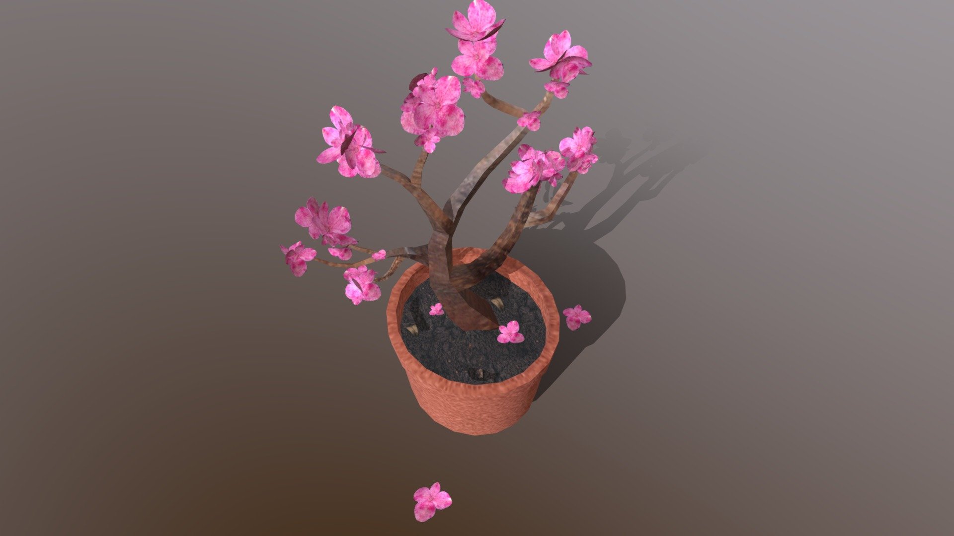 Sakura Plant - Download Free 3D model by chelsea.s [f760d14] - Sketchfab