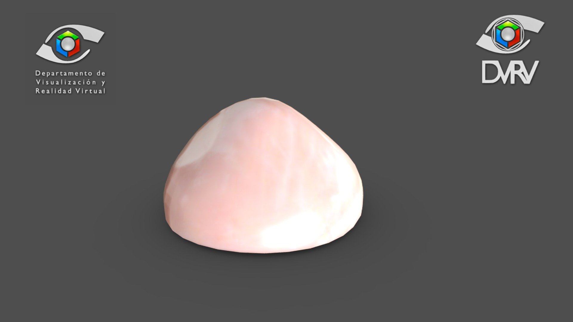 Metacestodo - 3D model by UNAM | DGTIC | DITE | DRDE (@DRDE_UNAM ...