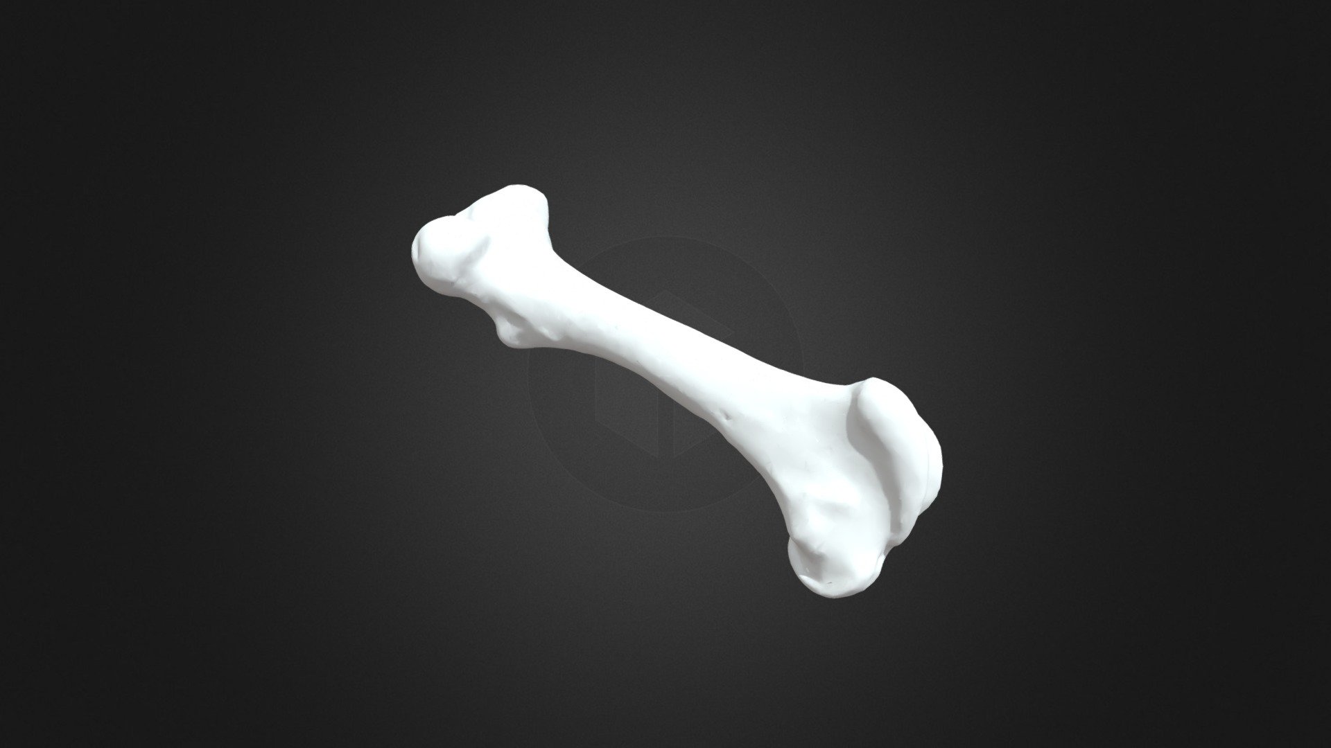 Fémur - 3D model by virtualizacion.bovino2 [f77e283] - Sketchfab