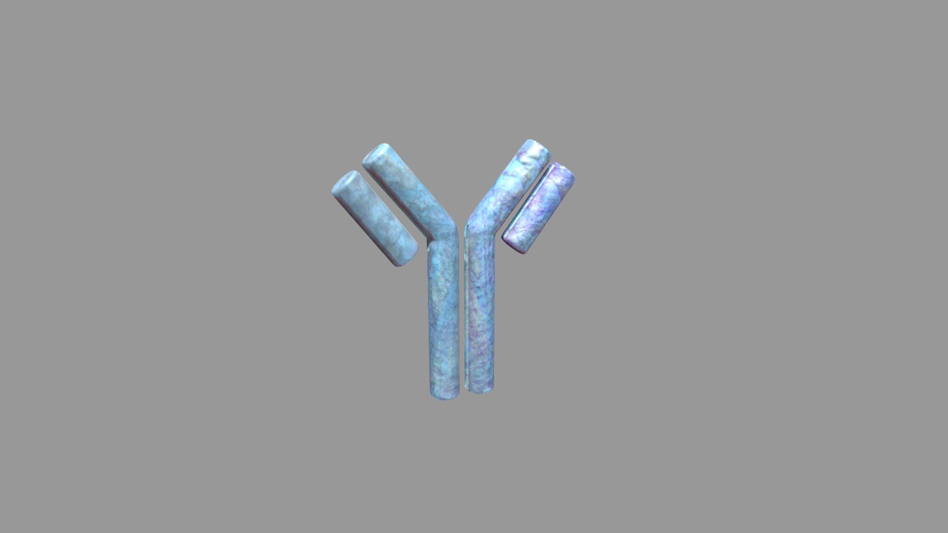 Antibody - 3D model by Eric Sewell (@EsteriorViper) [f780703] - Sketchfab