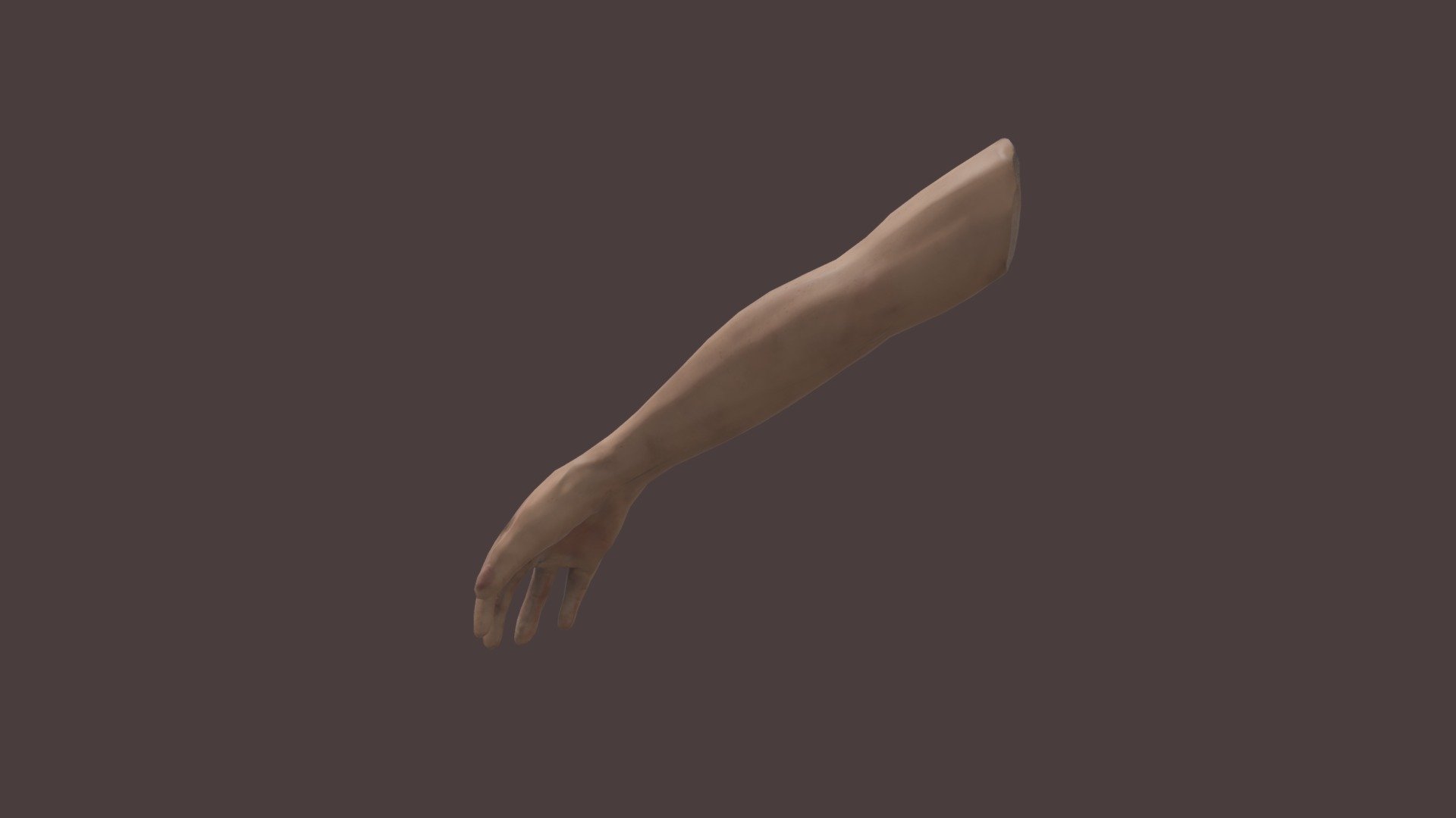 ARM - 3D model by sam powell (@samanthaa) [f786438] - Sketchfab