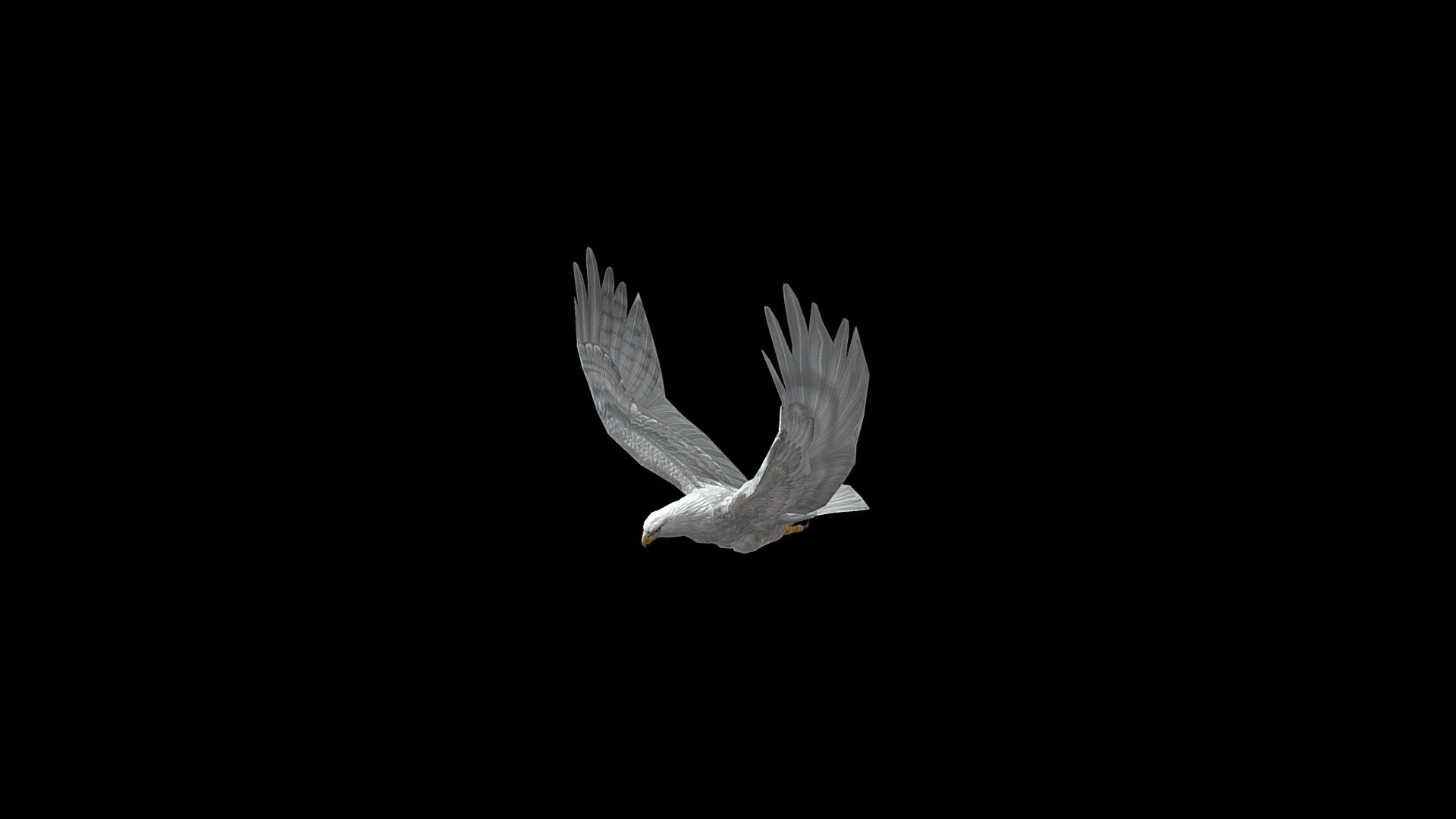 White Eagle Animation Fast Fly (1) - Download Free 3D model by None ...