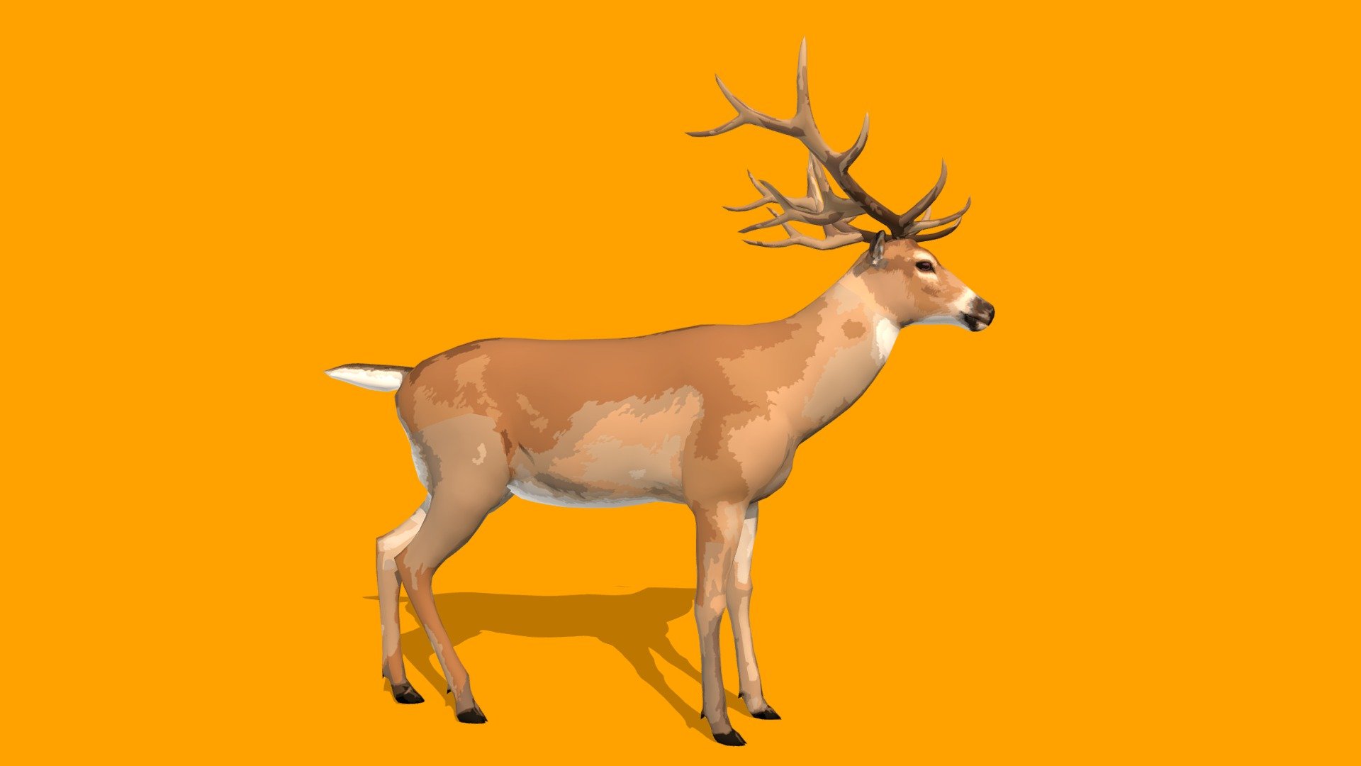 Deer Animated Cel Shading 3D Model - 3D model by WildMesh 3D (@WildMesh ...