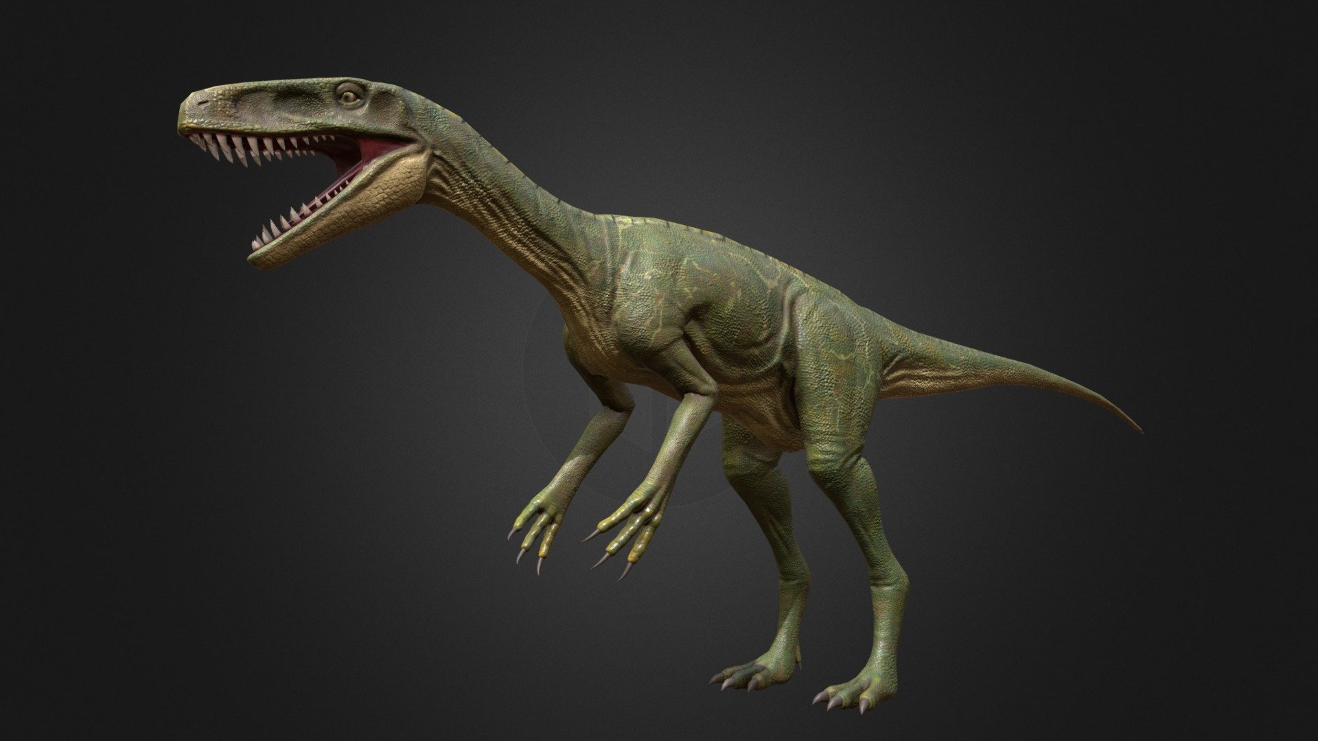 herrerasaurus - 3D model by yanz77 [f79933b] - Sketchfab