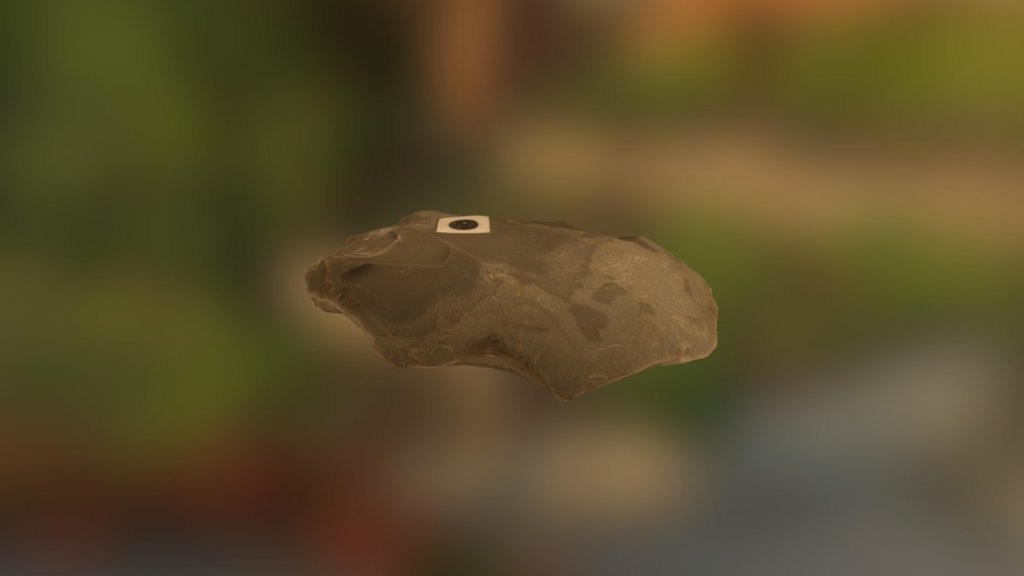 Biface (Lithic Artifact) - 3D model by Ricardo Chacon (@RicardoCh ...