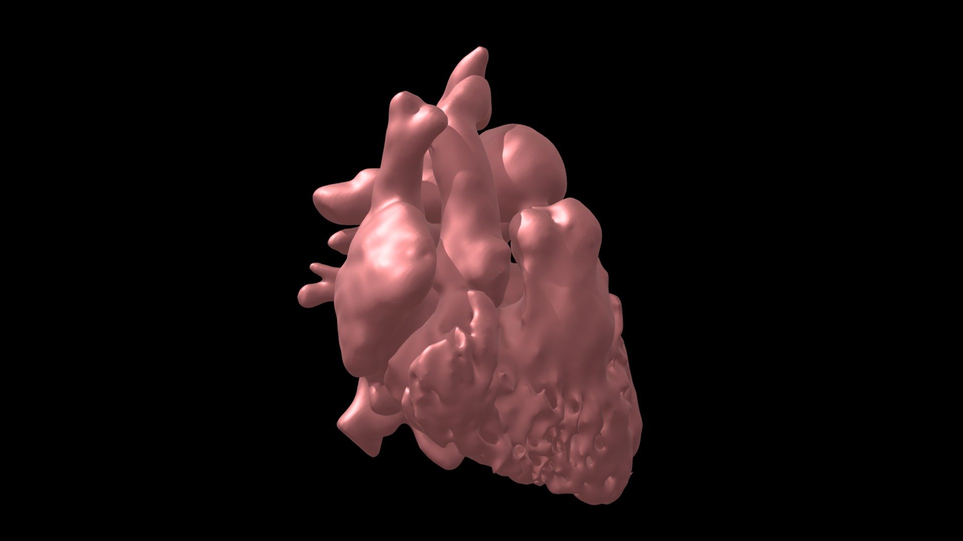Heart Anatomy - 3D model by drj (@drjameswinter) [f7b2226] - Sketchfab